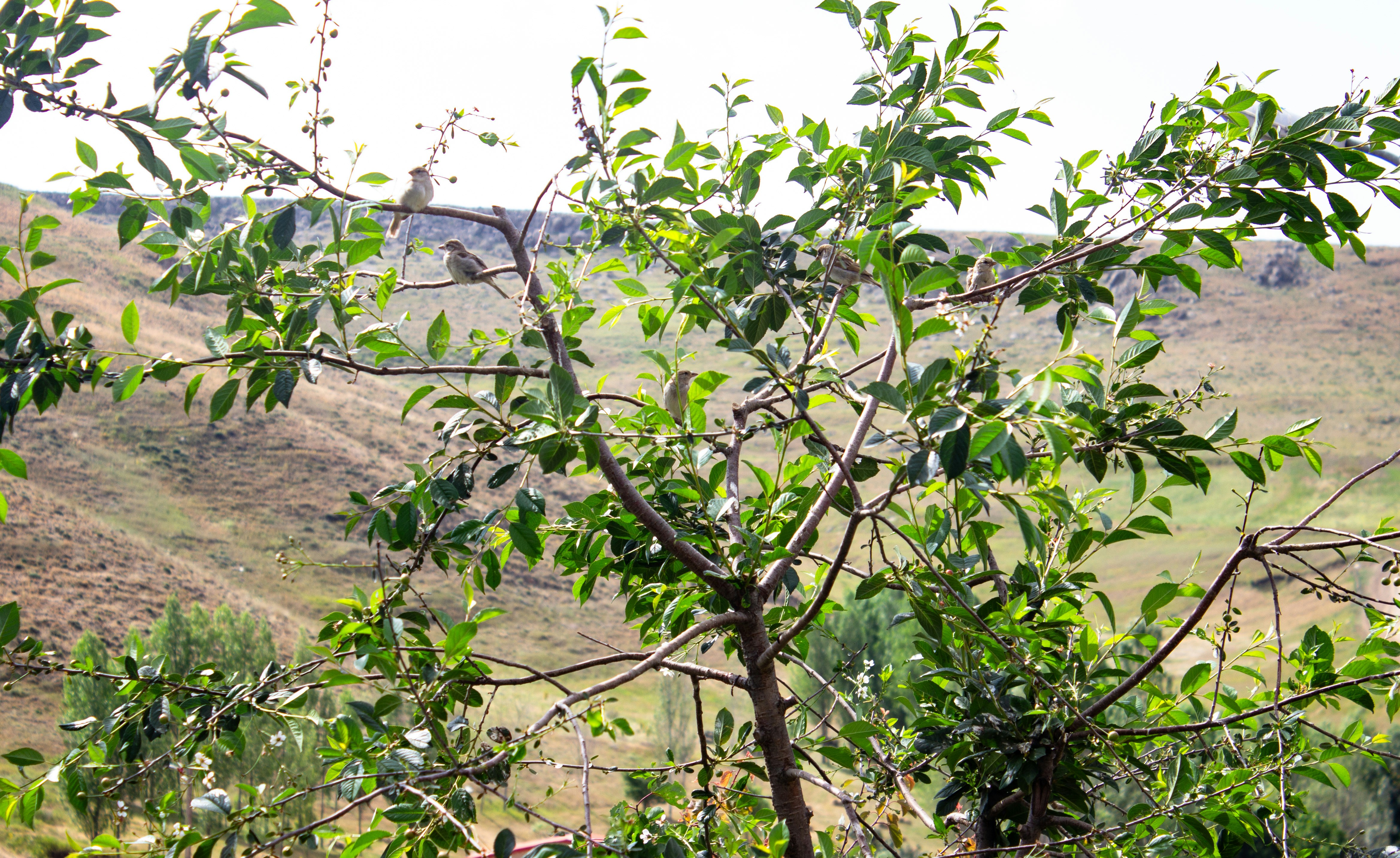 Photo by Elham Abdi with Canon EOS 600D