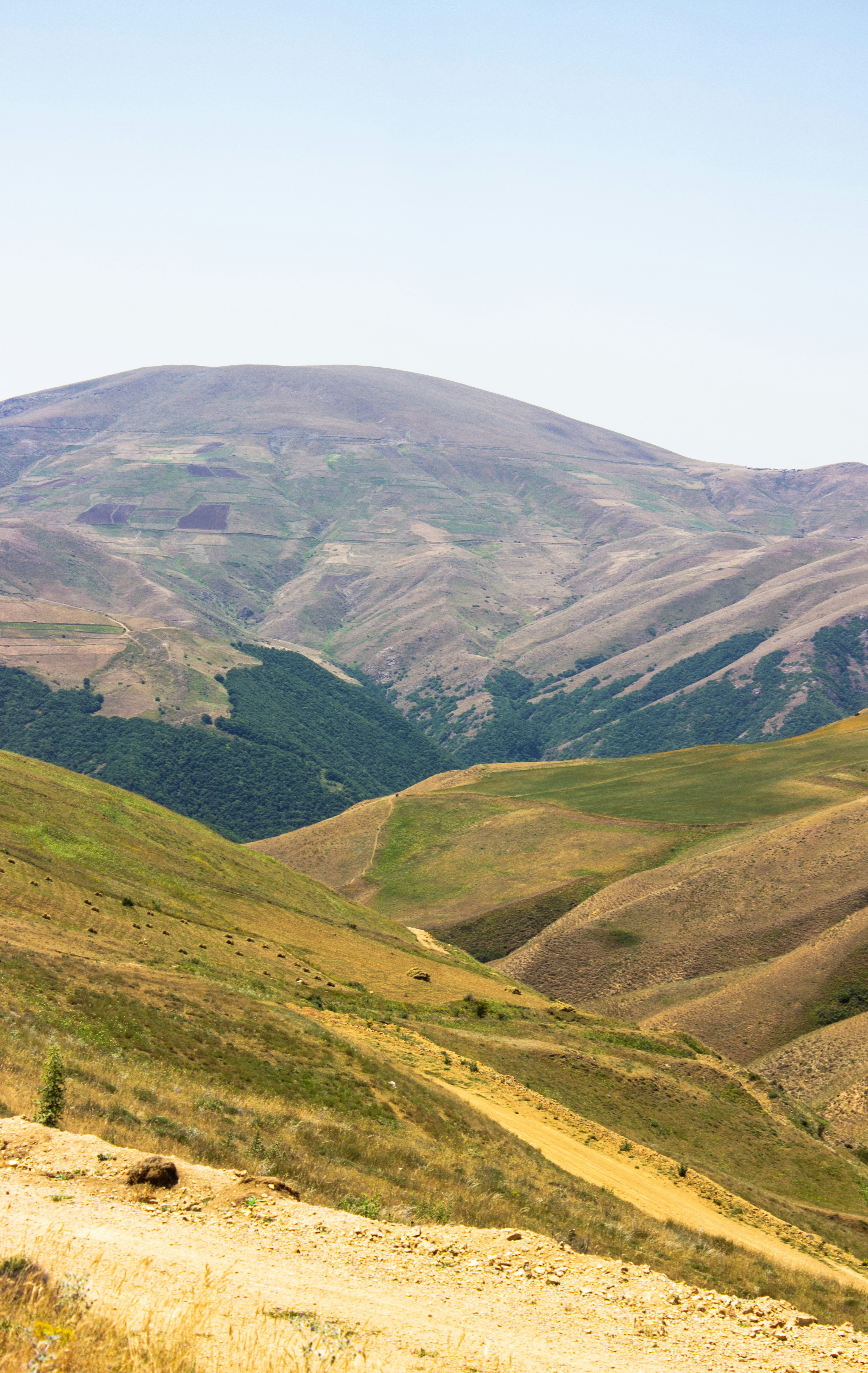 Photo by Elham Abdi with Canon EOS 600D