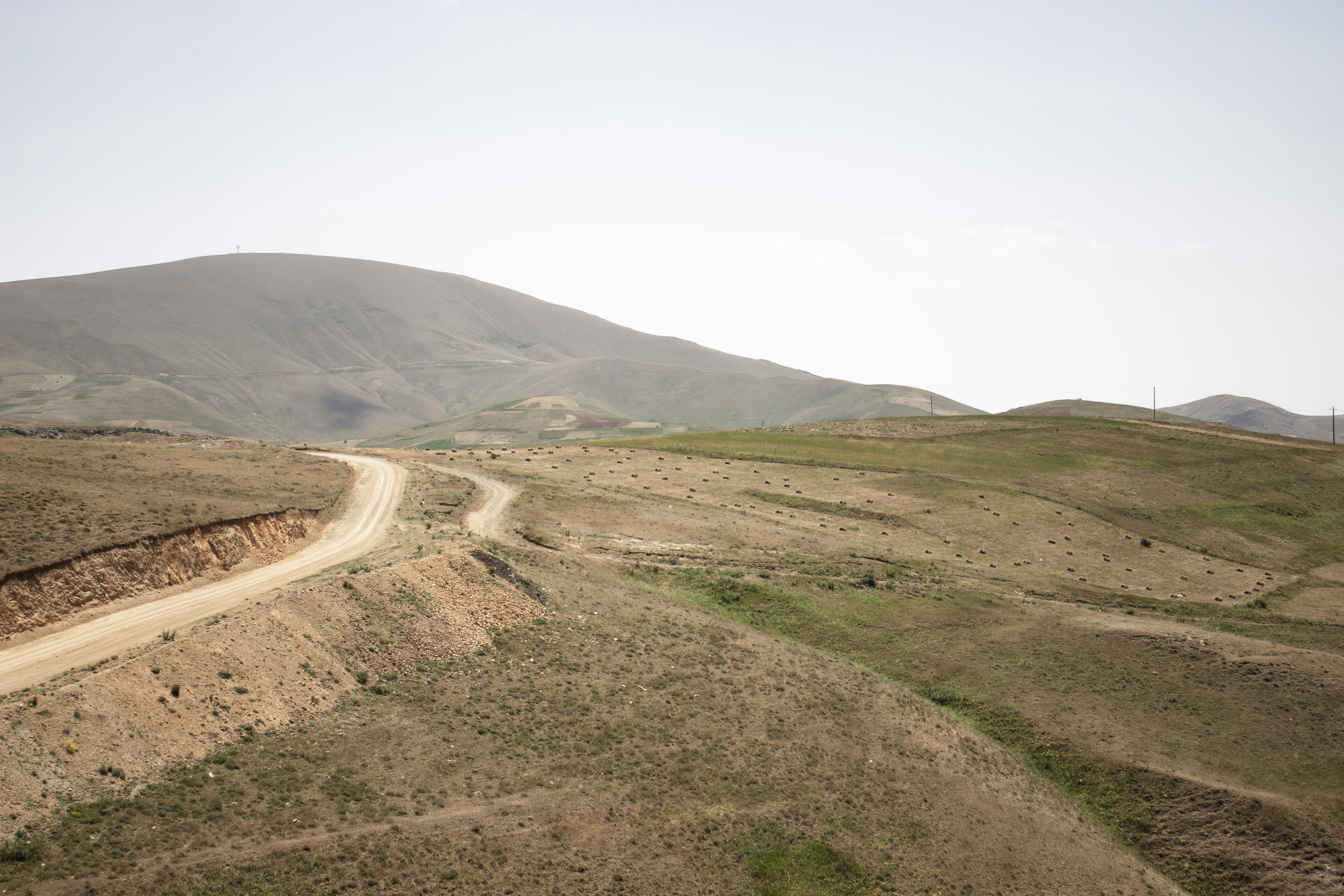 Photo by Elham Abdi with Canon EOS 600D