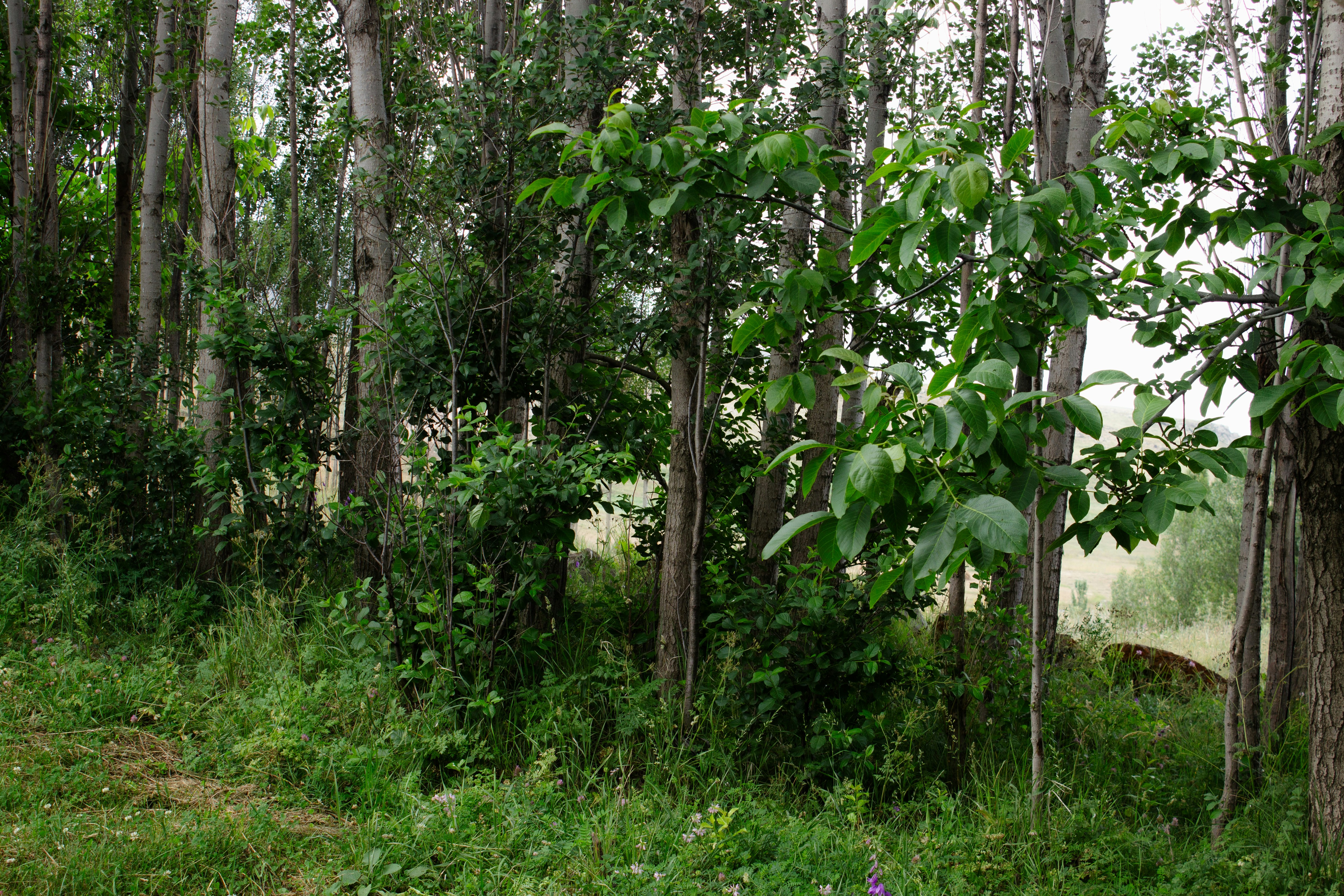 Photo by Elham Abdi with Canon EOS 600D