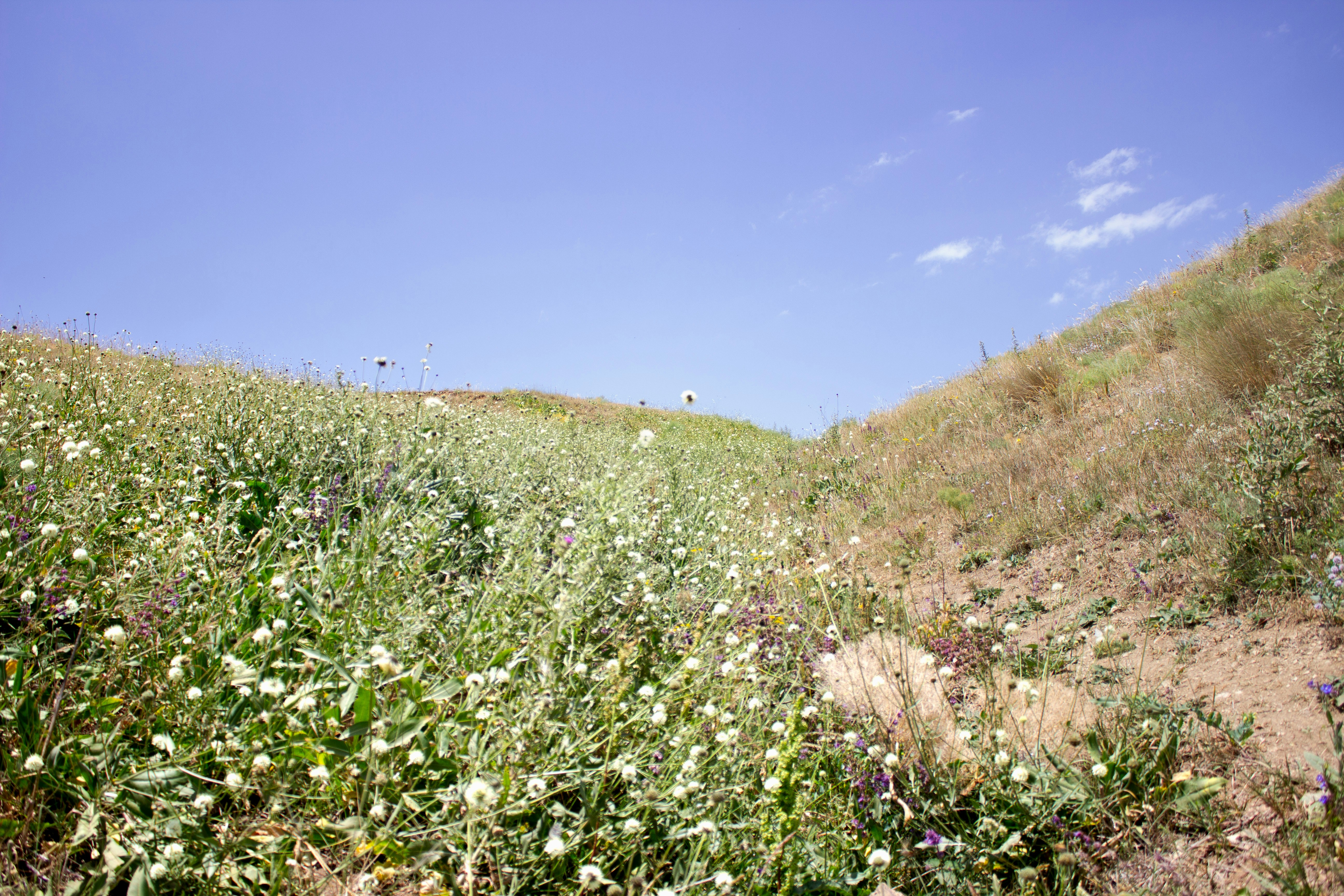 Photo by Elham Abdi with Canon EOS 600D