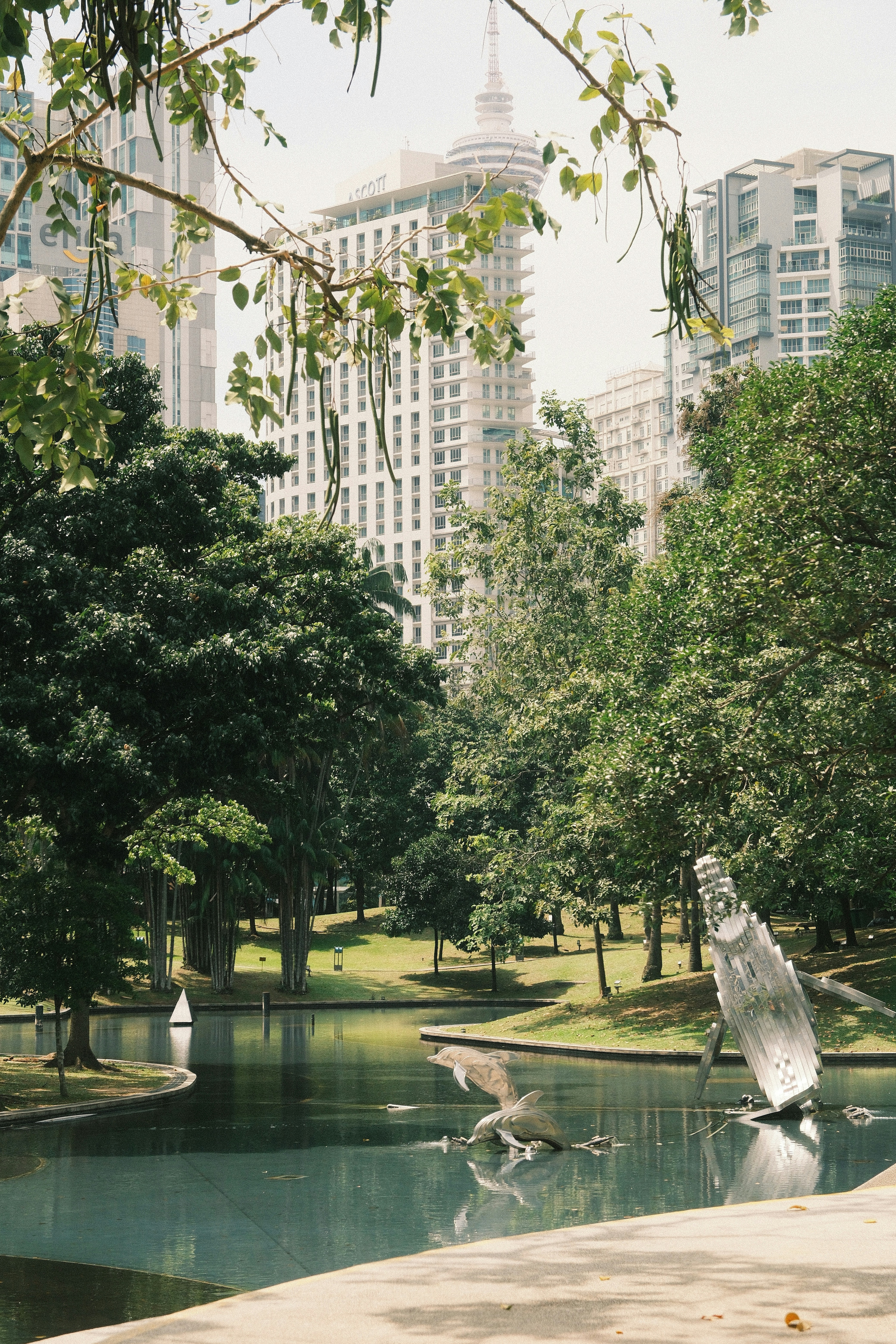 Urban Oasis: A Quiet Park Framed by Skyscrapers and a Dynamic Fountain
