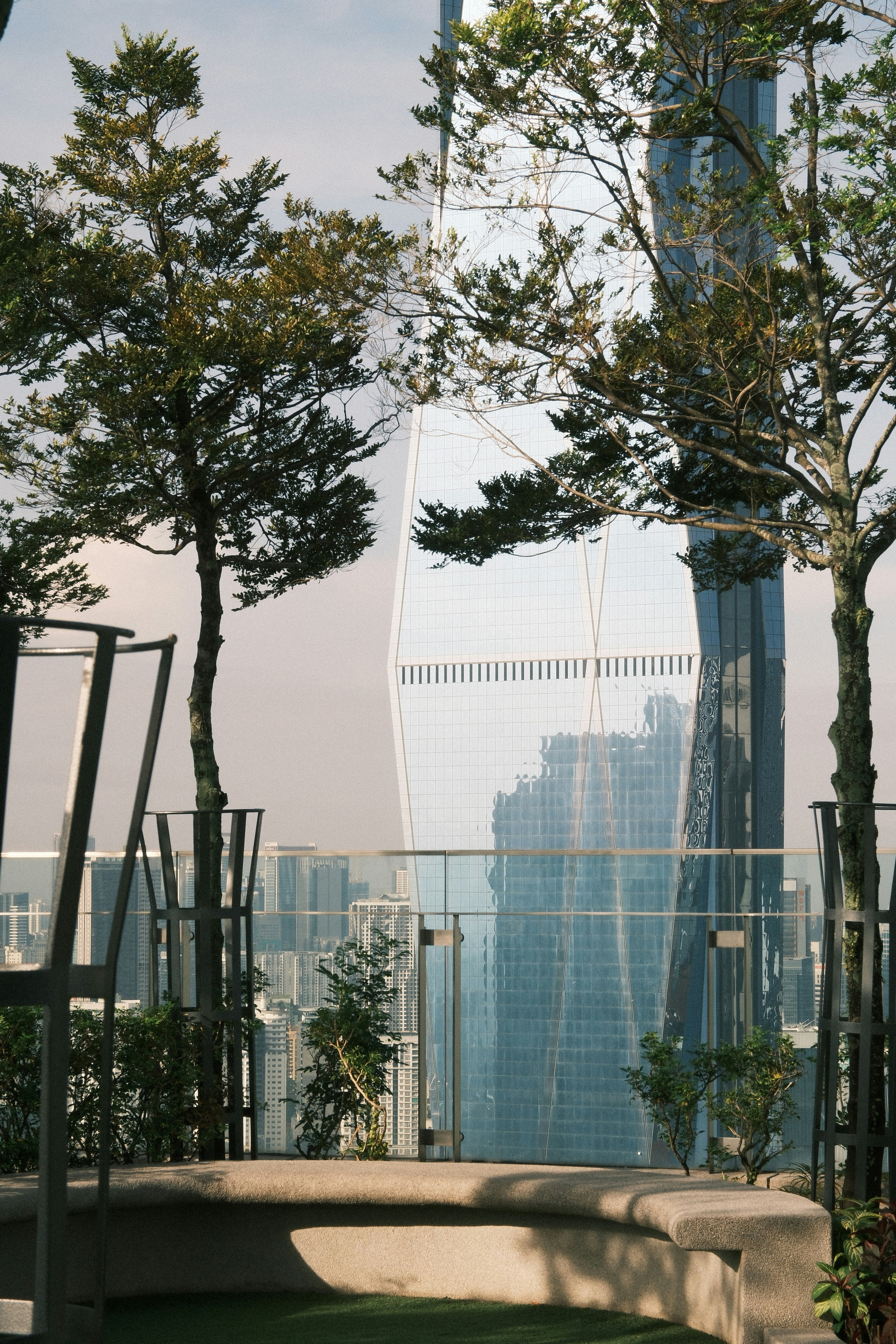 Urban Oasis: Trees Framing a City Skyline on a Rooftop Terrace