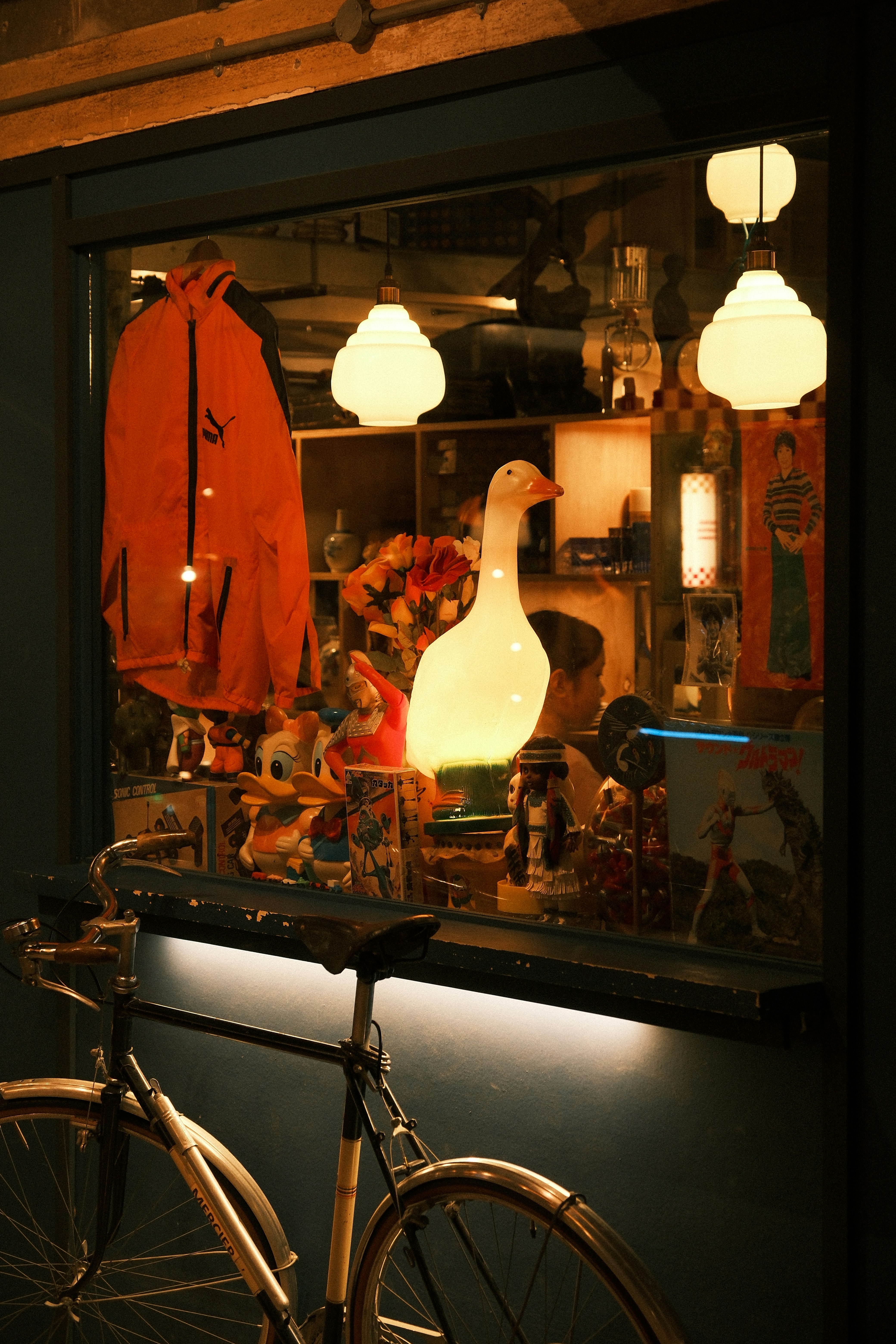 Glowing Goose in a Cozy Shop Window