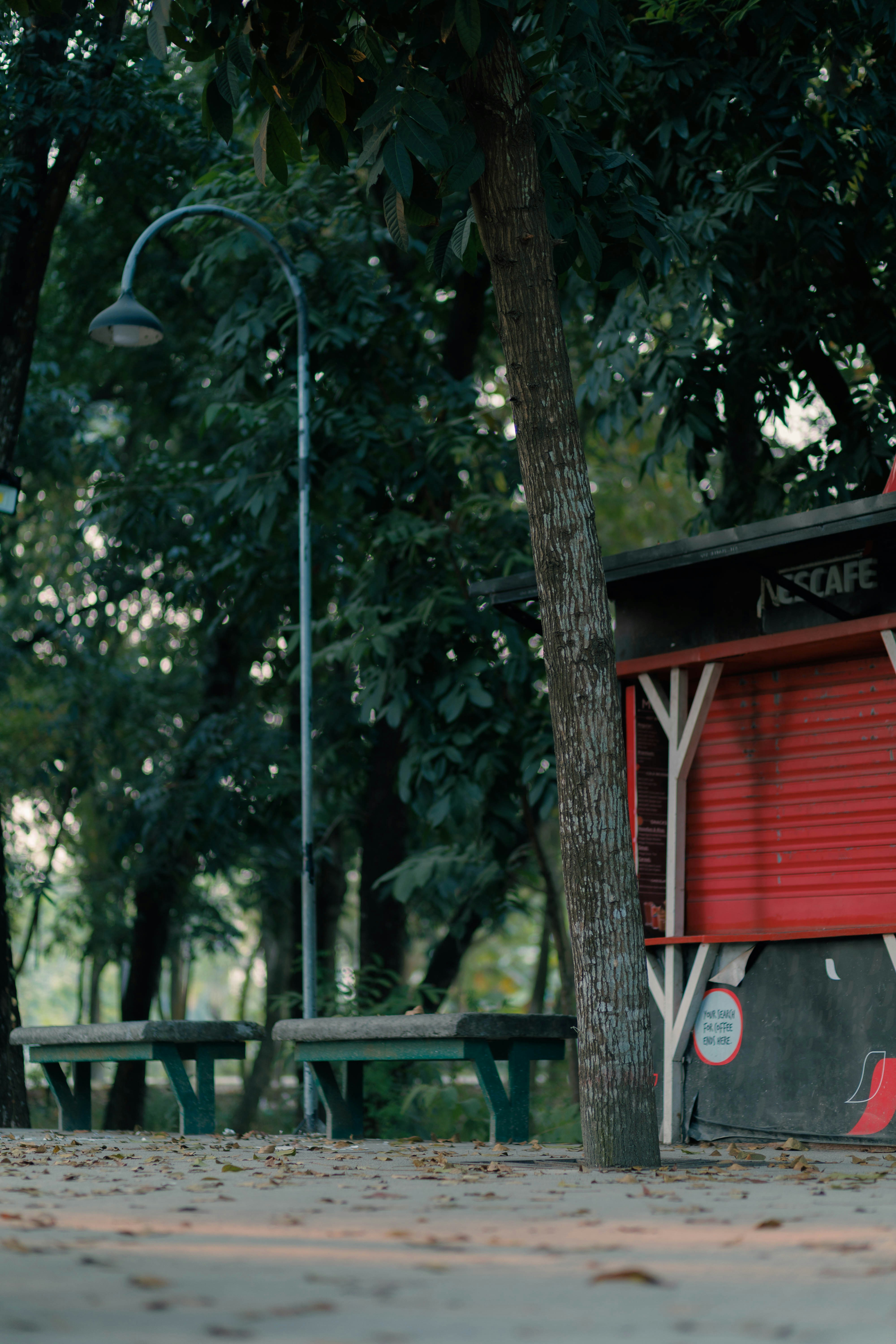Quiet Park Corner with a Closed Kiosk and Tree as Focal Anchor
