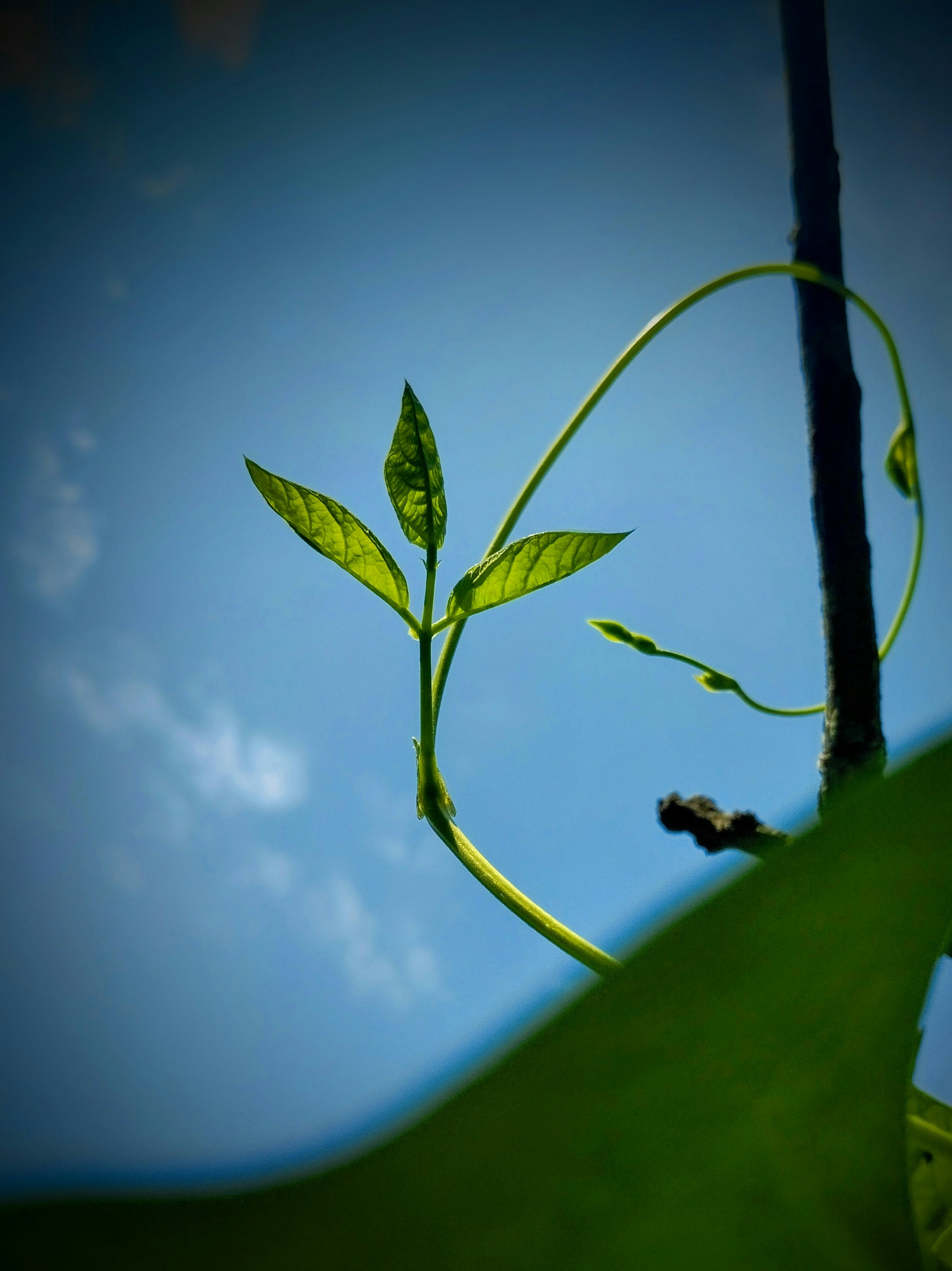 Photo by Jayasahan Hansana with Redmi Note 12