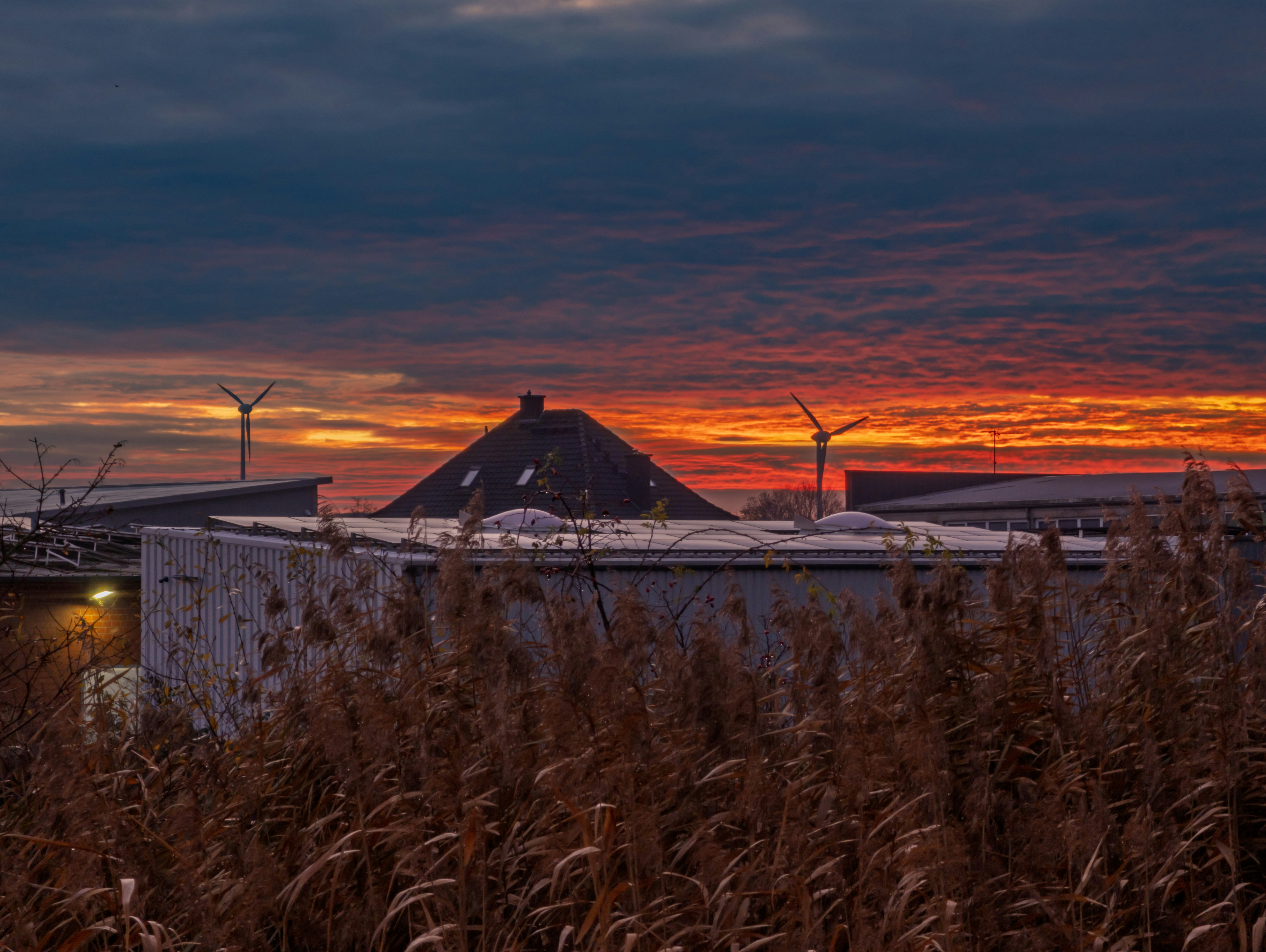 Sunset Over Industrial Grasses and Rooftops