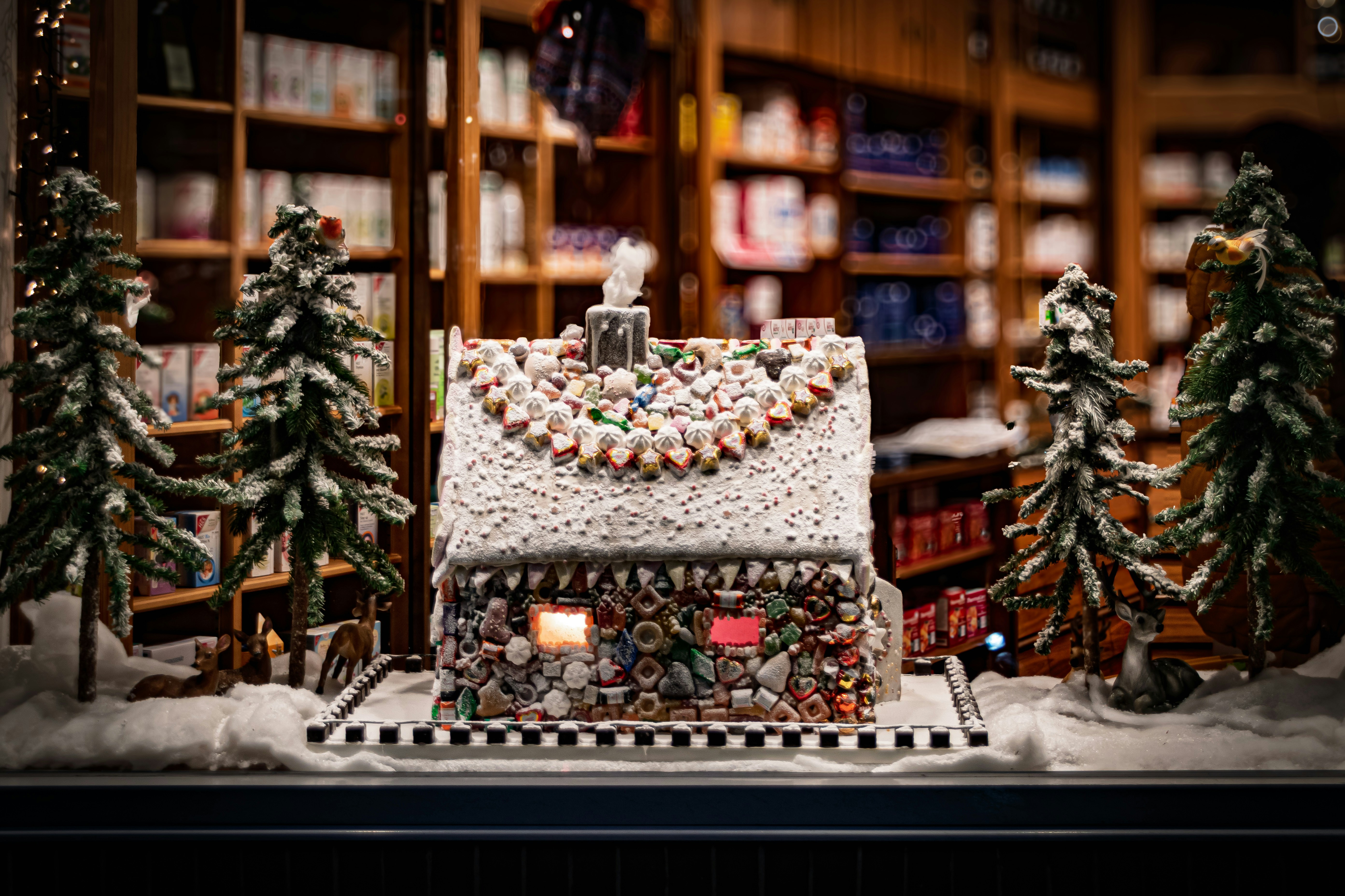 Miniature Winter Bakery Dome in a Cozy Library Scene