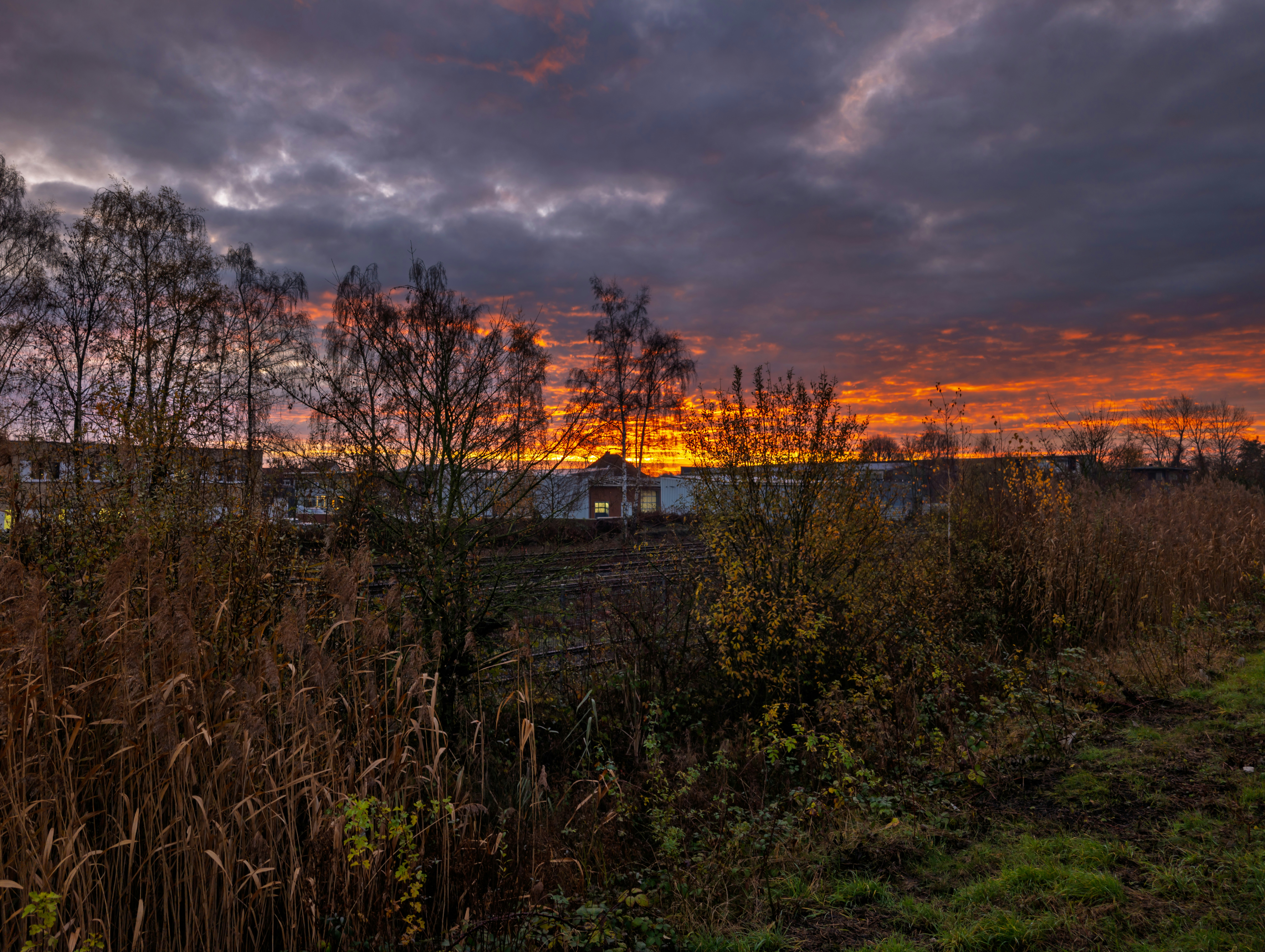 Twilight Edge: Fire in the Horizon Over Wild Reeds
