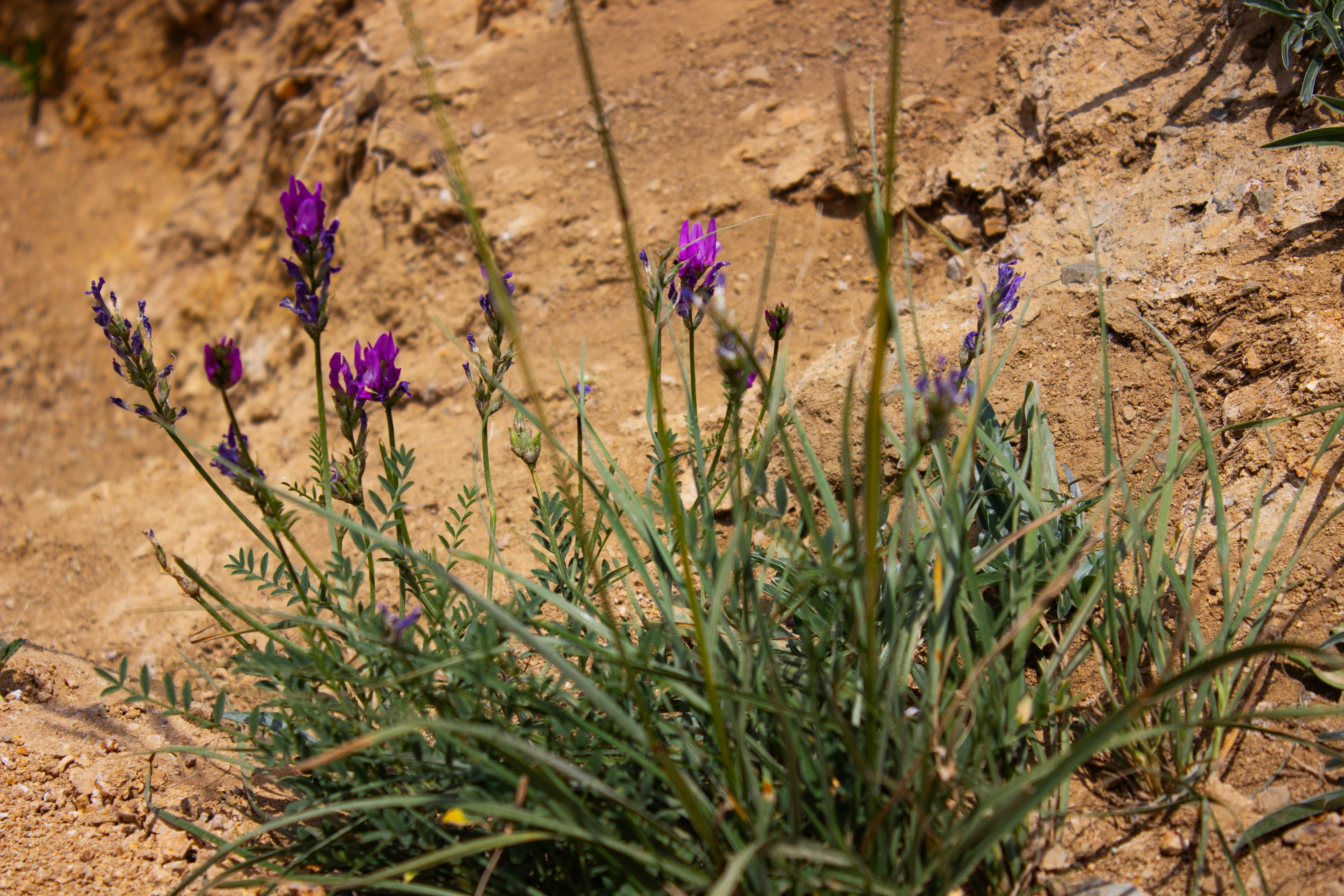 Photo by Elham Abdi with Canon EOS 600D