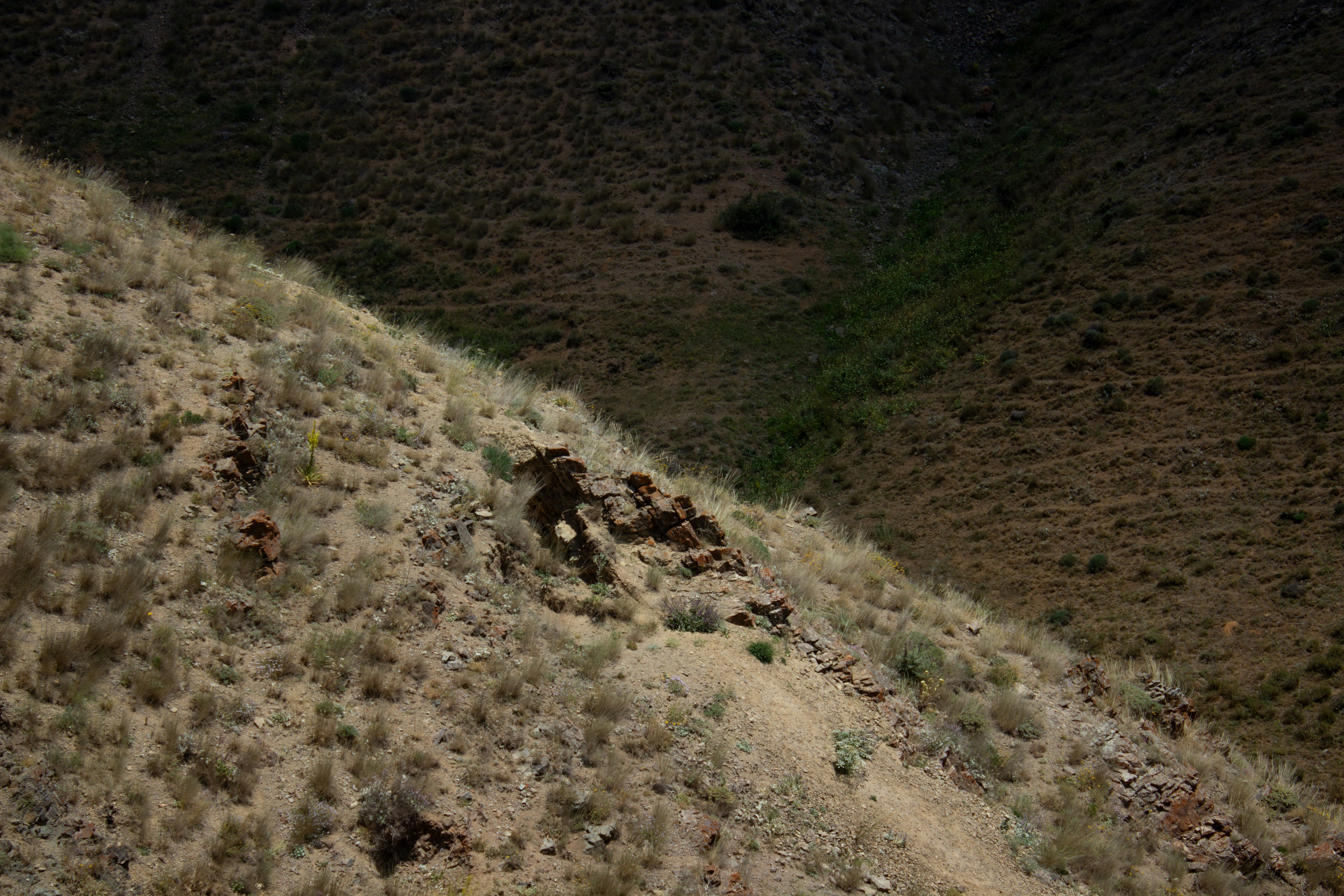 Photo by Elham Abdi with Canon EOS 600D