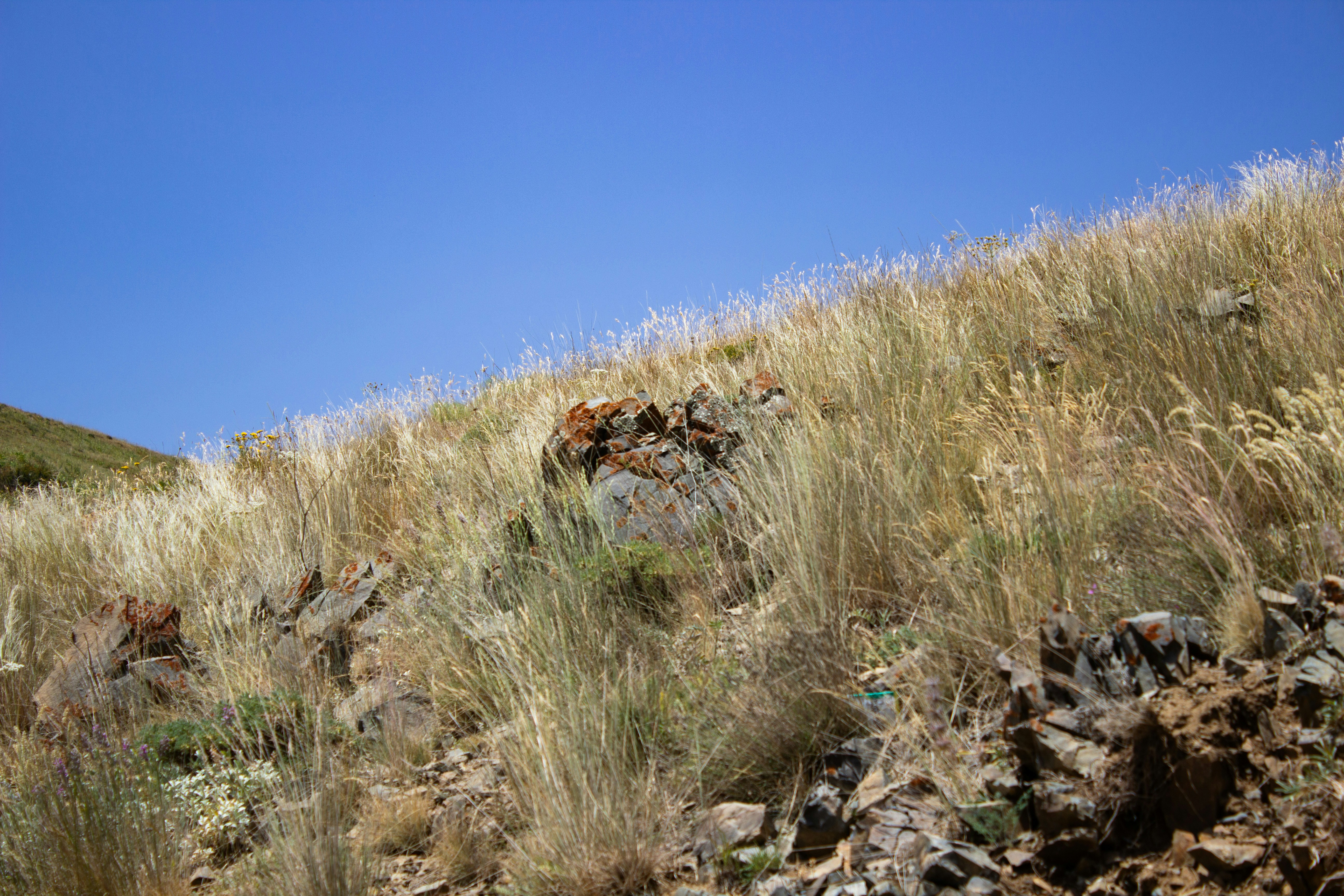 Photo by Elham Abdi with Canon EOS 600D