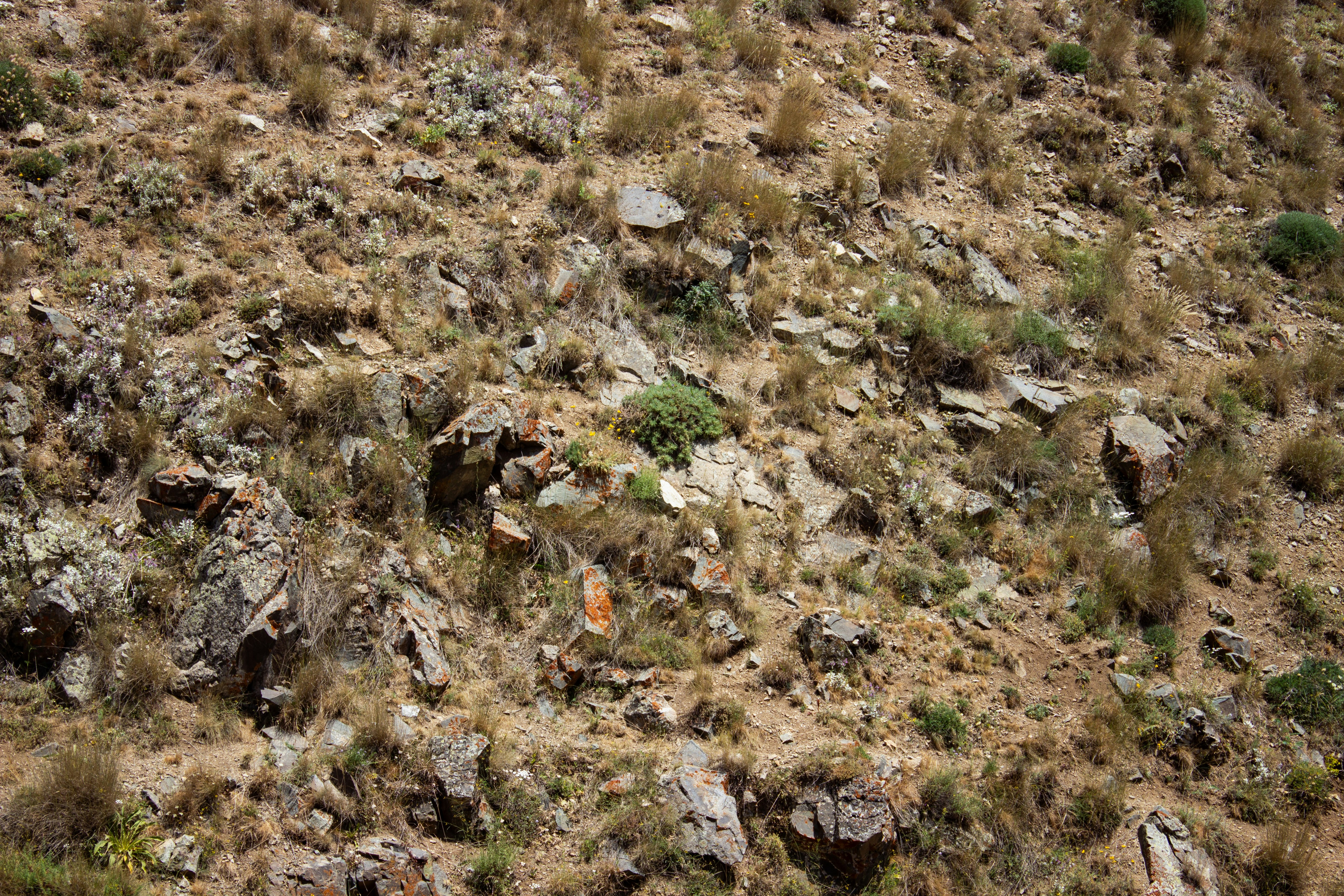 Photo by Elham Abdi with Canon EOS 600D