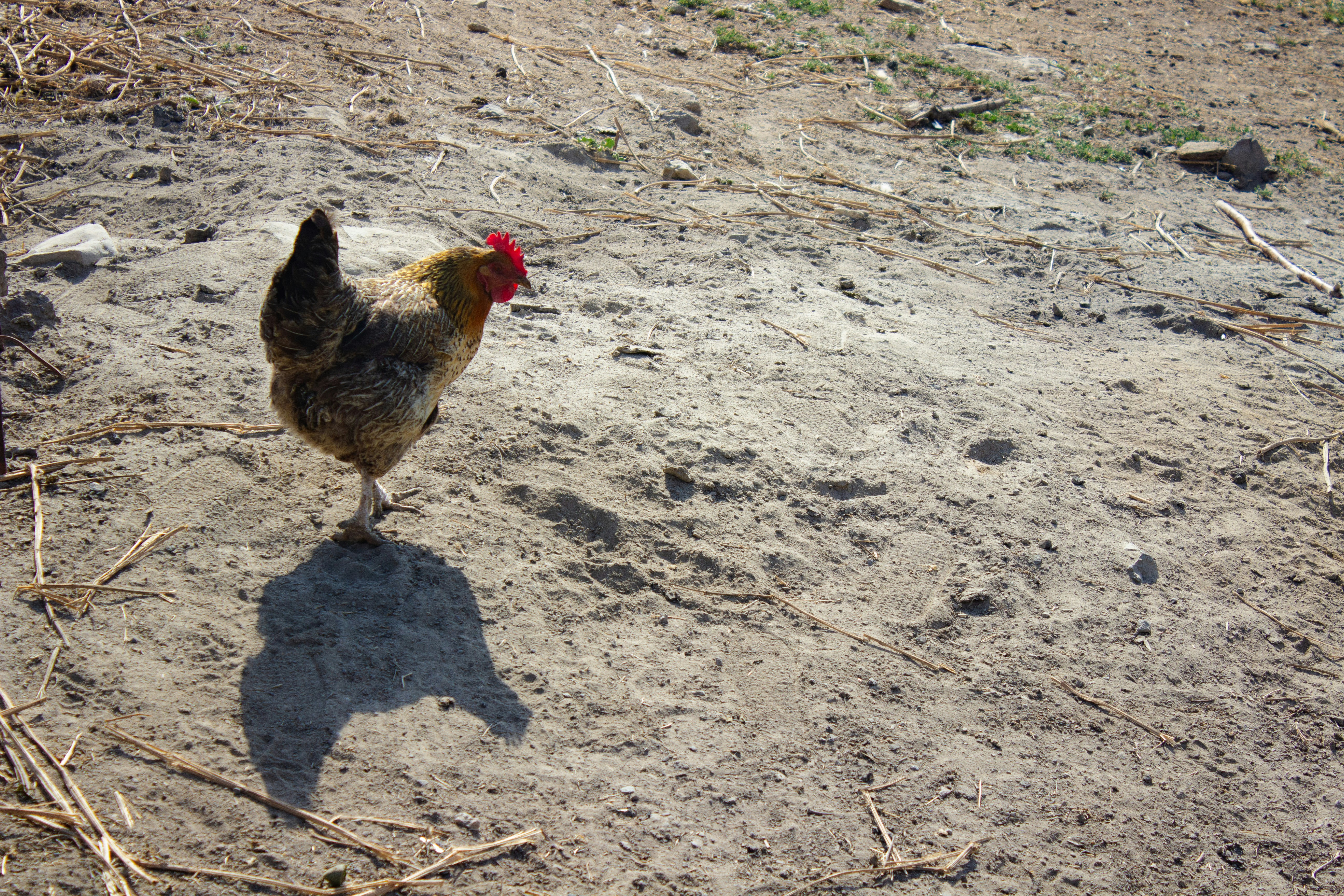 Photo by Elham Abdi with Canon EOS 600D