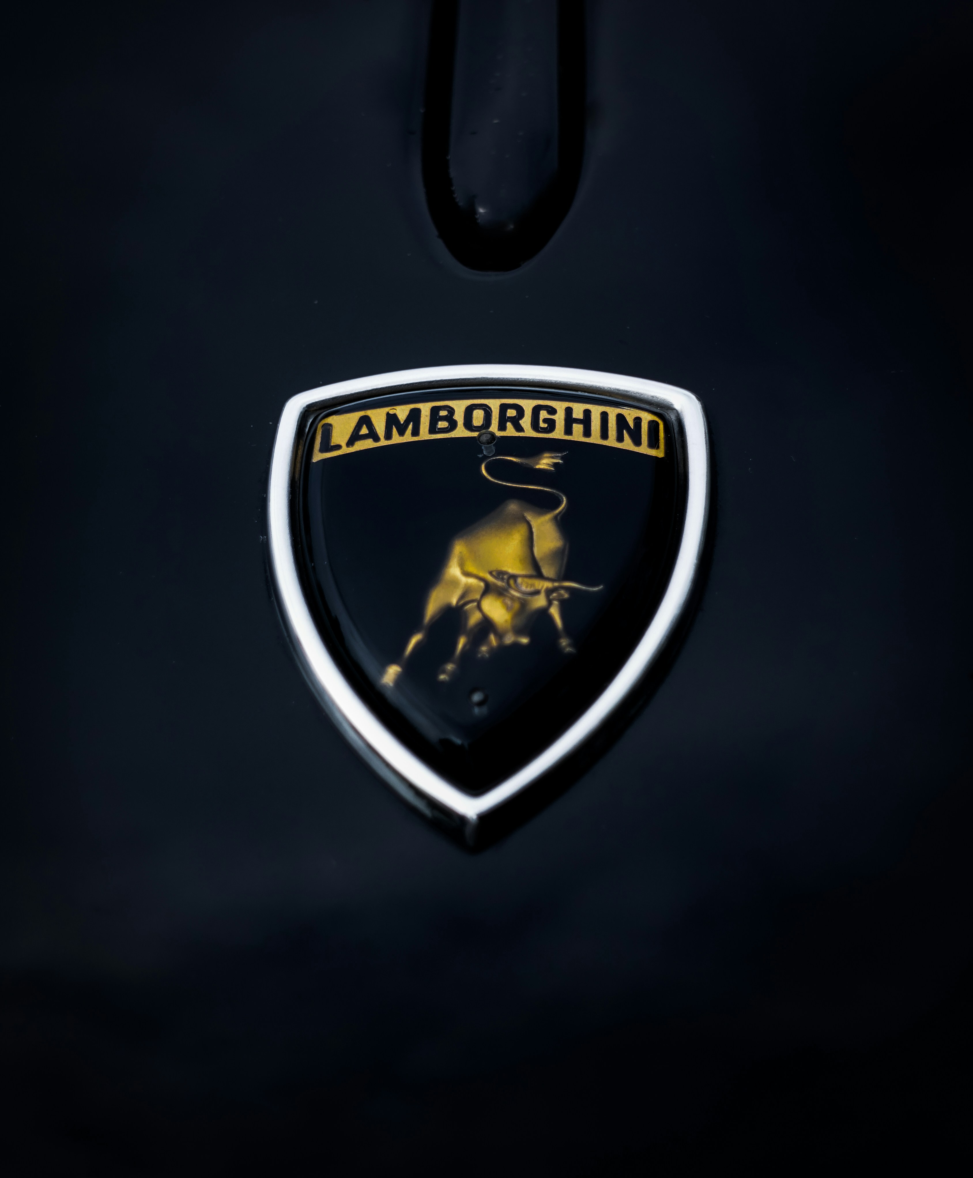 Emblem in Focus: The Bull's Shield under Quiet Night