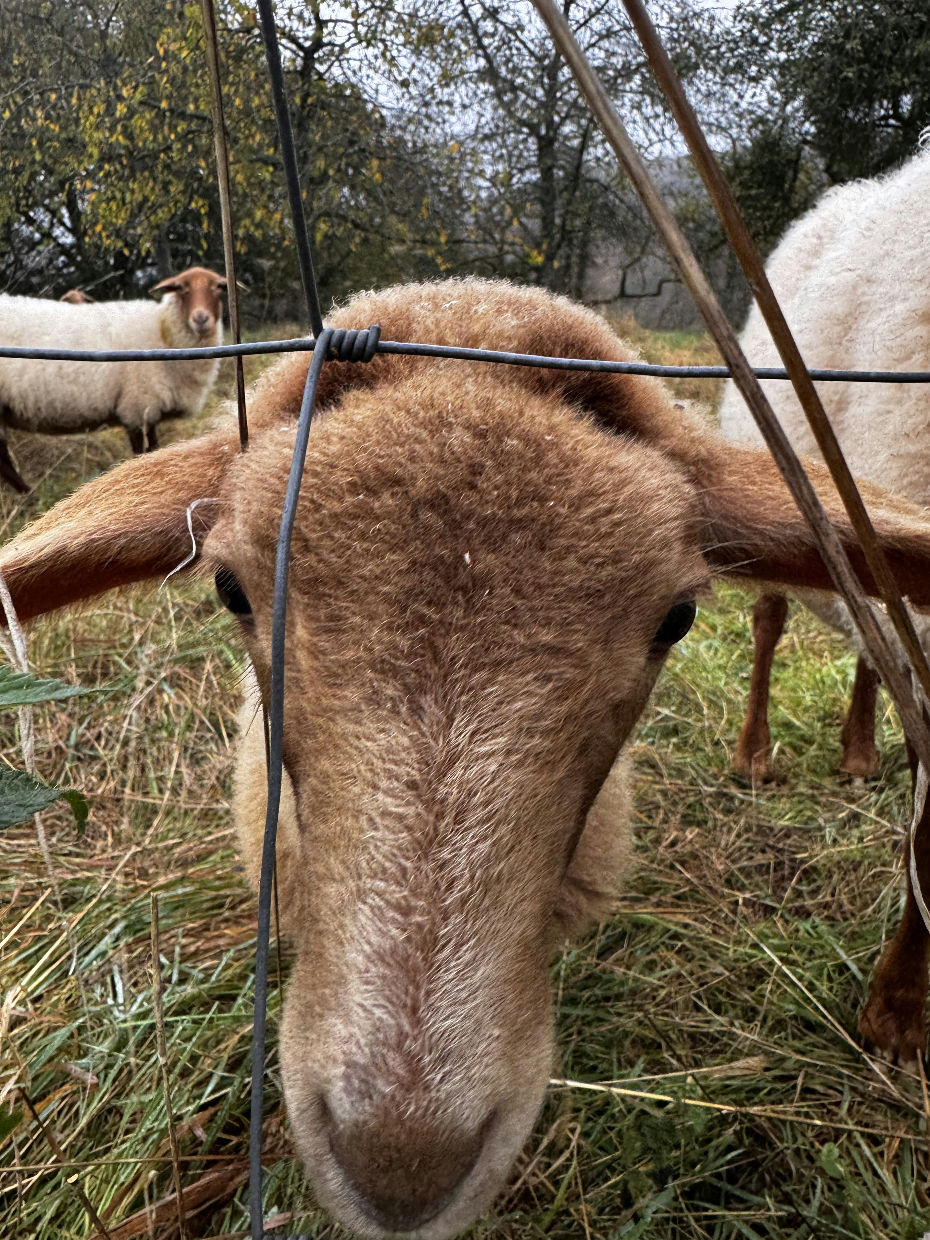 Photo by Tommy with Apple iPhone 15 Pro Max