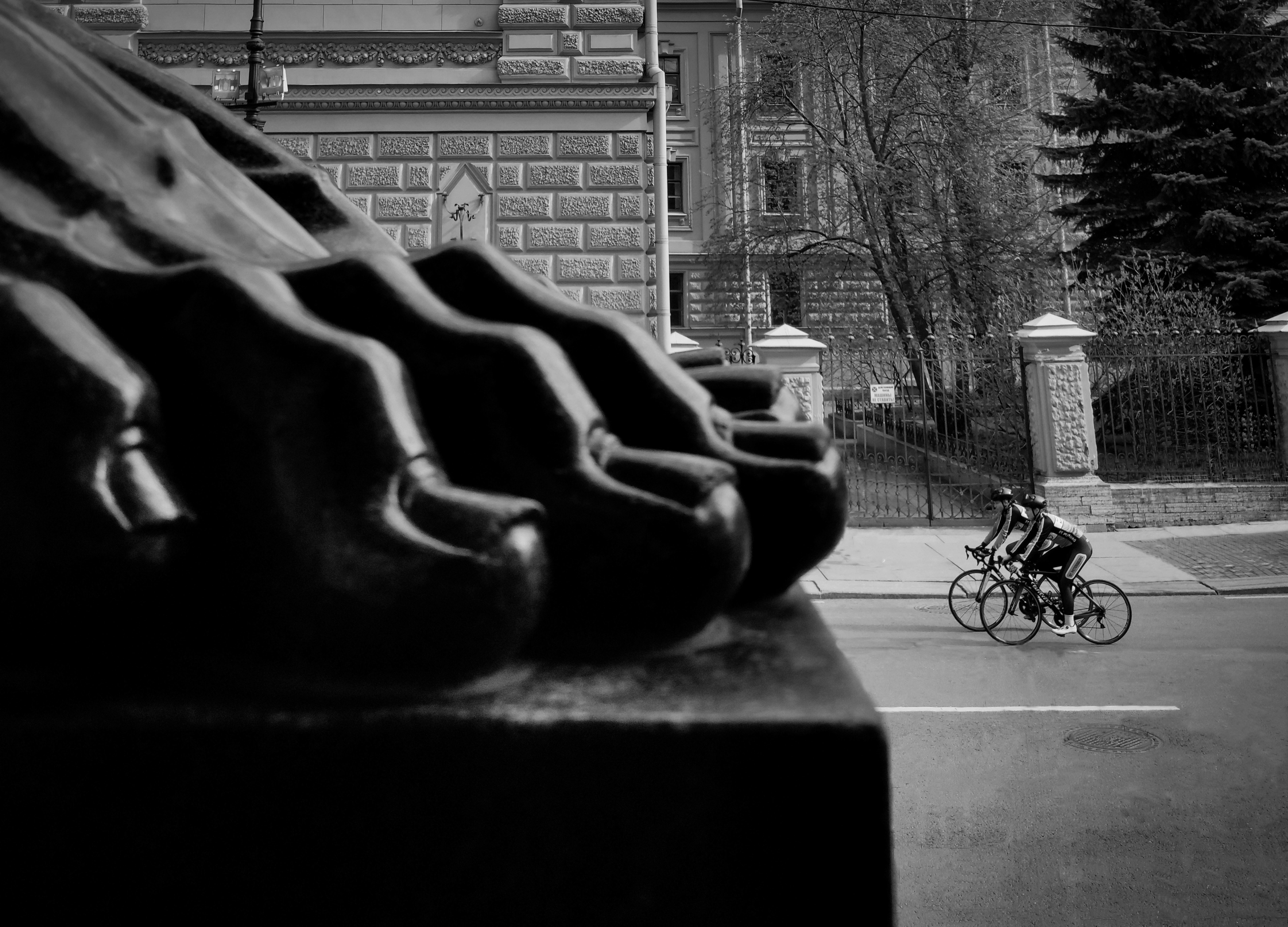 Riding Shadows: A Quiet Street Encounter with the City’s Edge