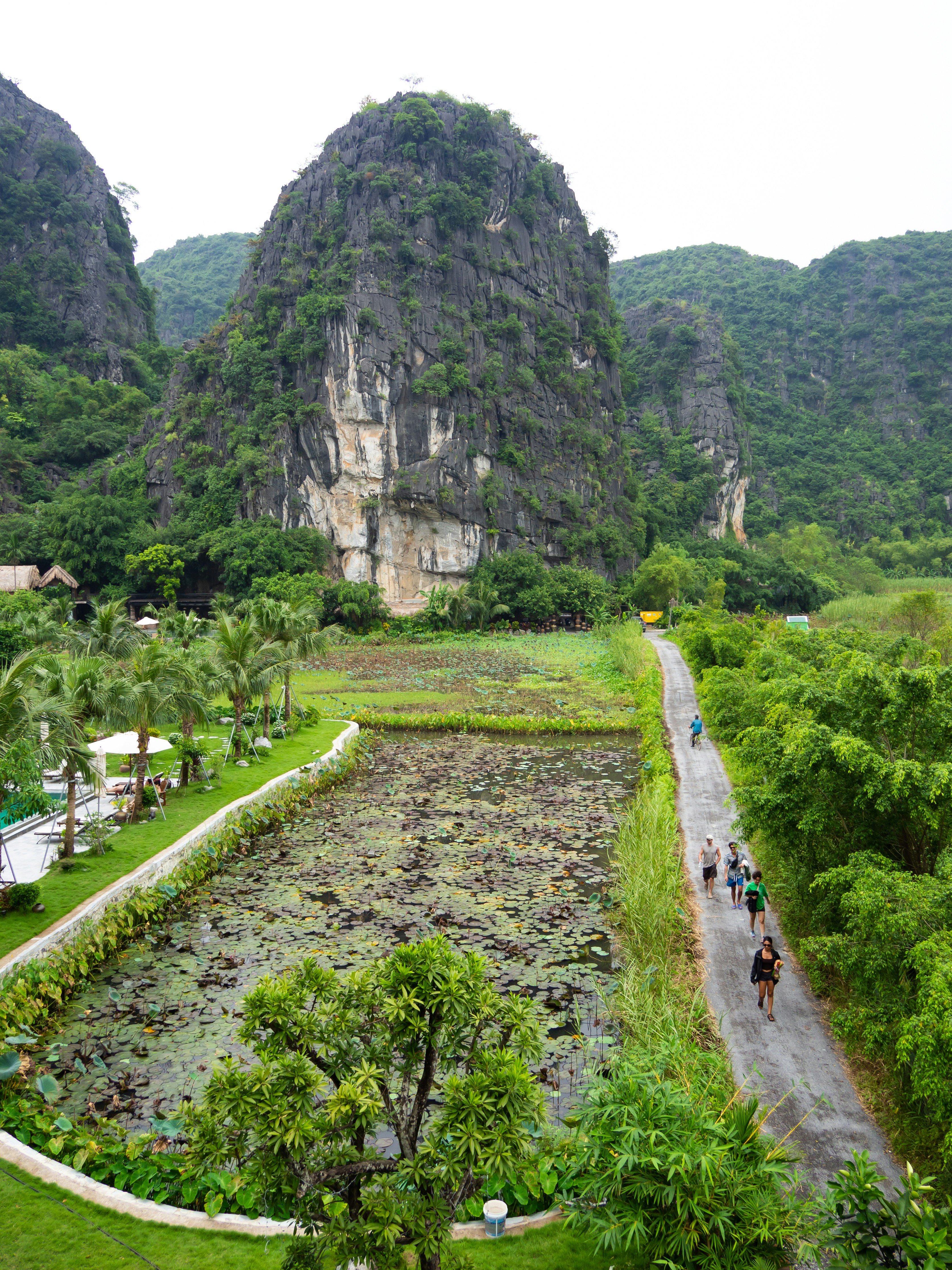 Verdant Karst Valley Path: A Lime-green Canal Winding Under Towering Densely Forested Peaks