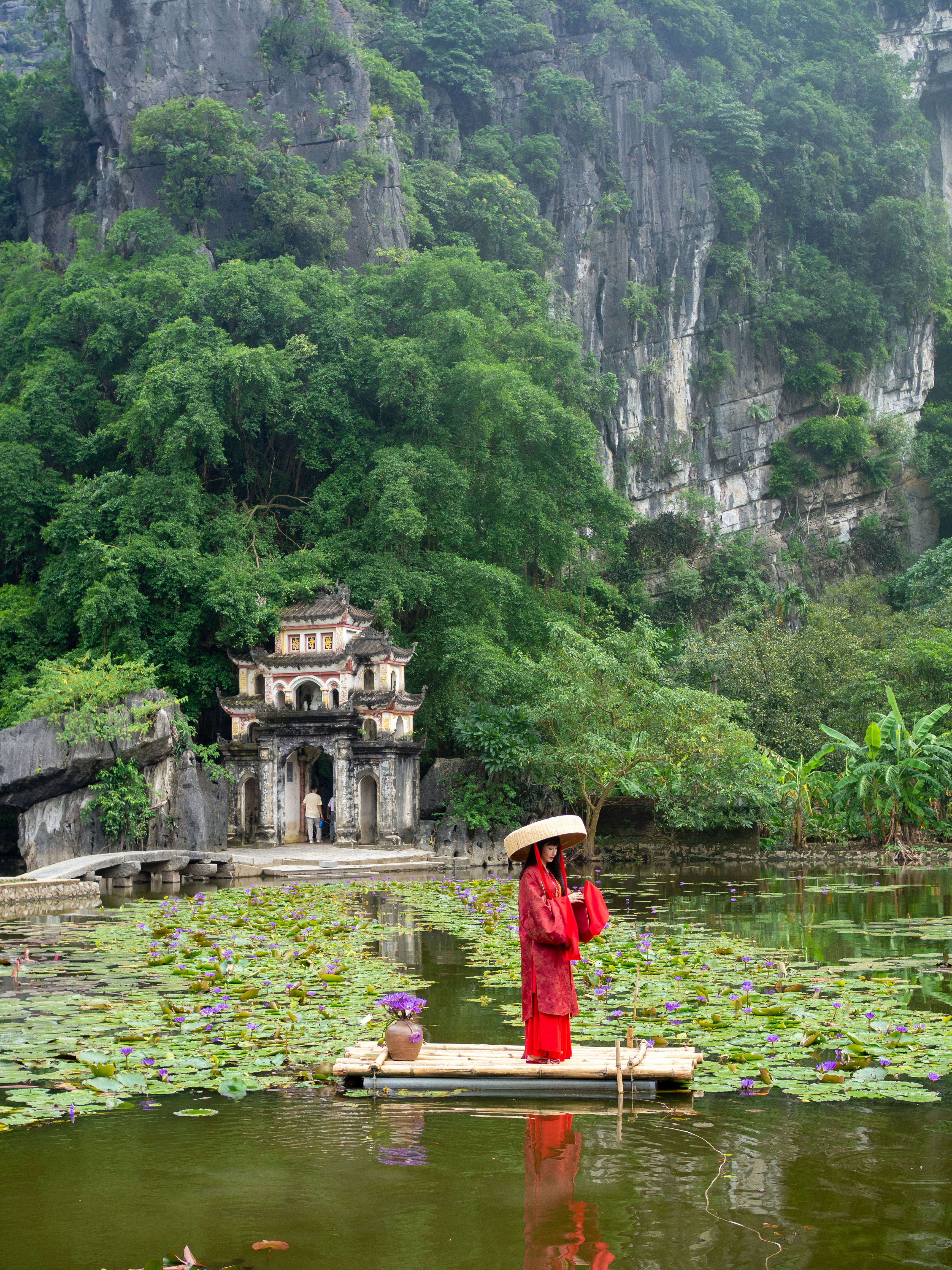 Red Robe on the Floating Tea: A Serene Traveler at a Lotus Pond