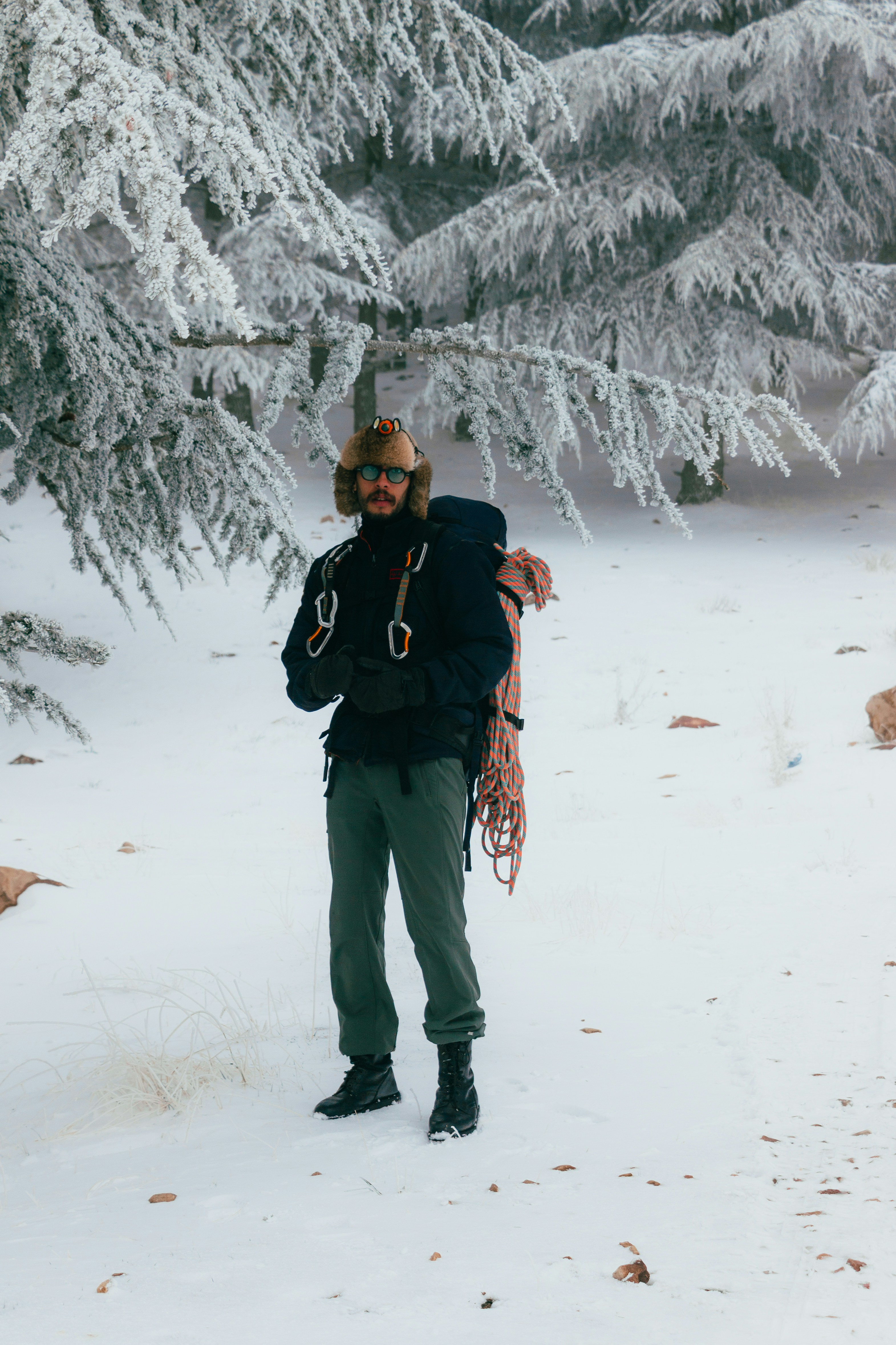 Snow-Clad Adventurer: Climber in Frosty Forest