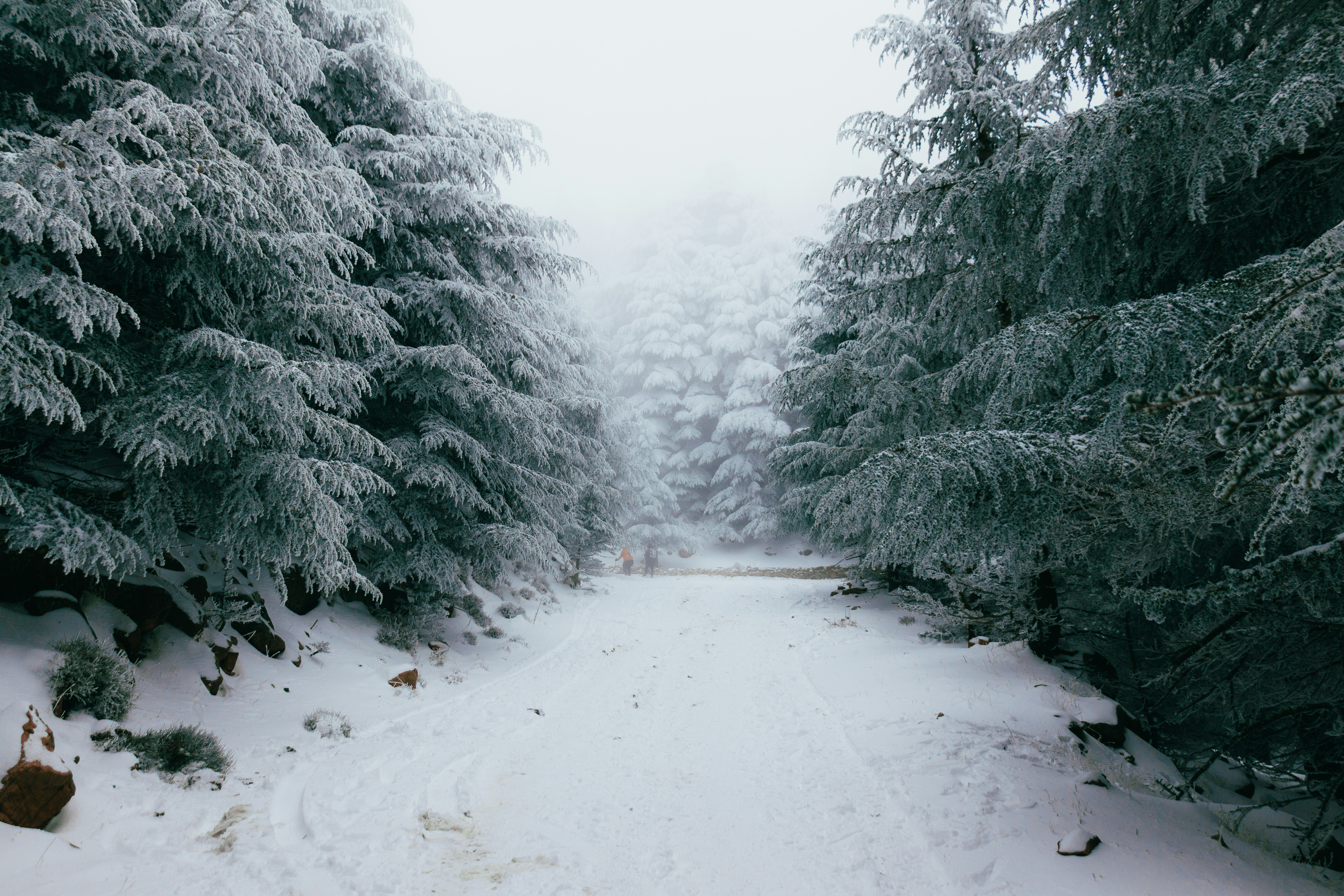 Photo by Thomas Marquize with Canon EOS 650D