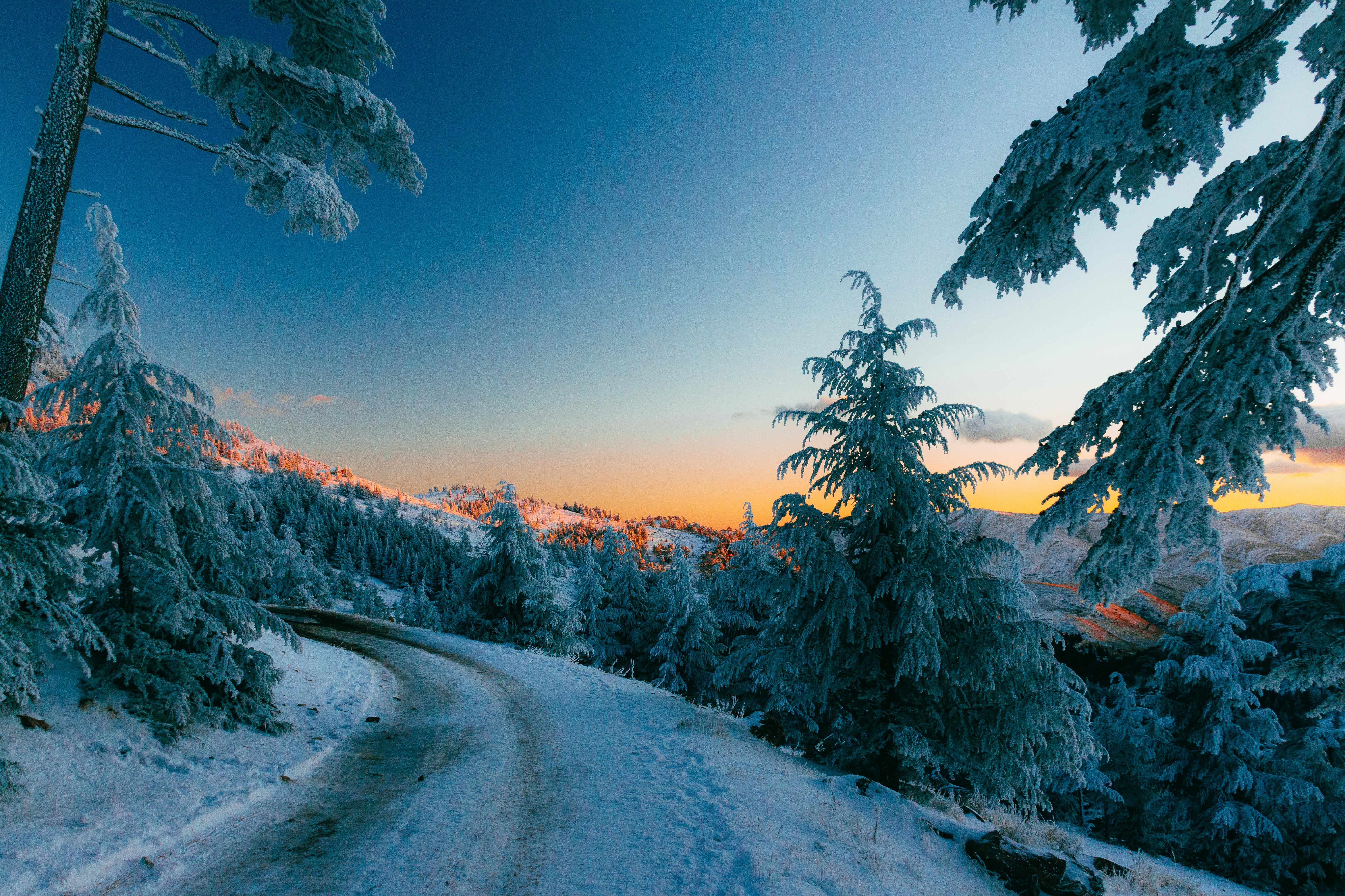 Snowy mountain road with frosted trees at sunset photo – Free Sunset ...