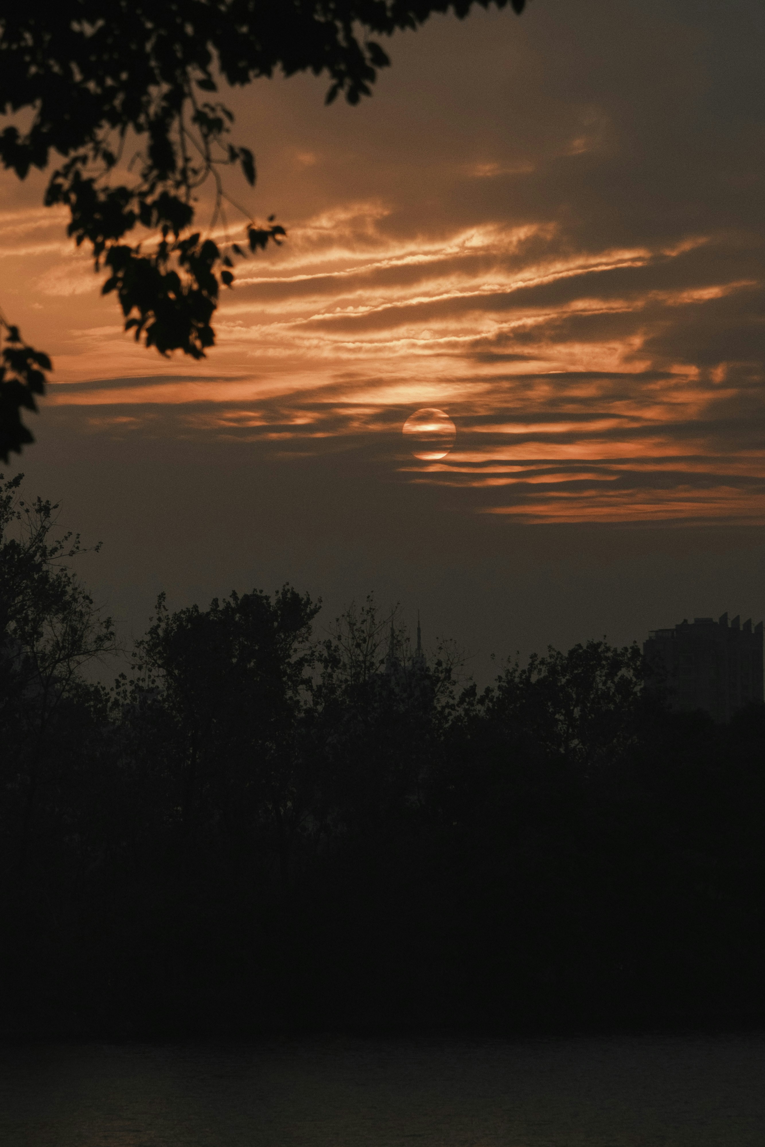 Photo by Yue WU with Fujifilm X-S10