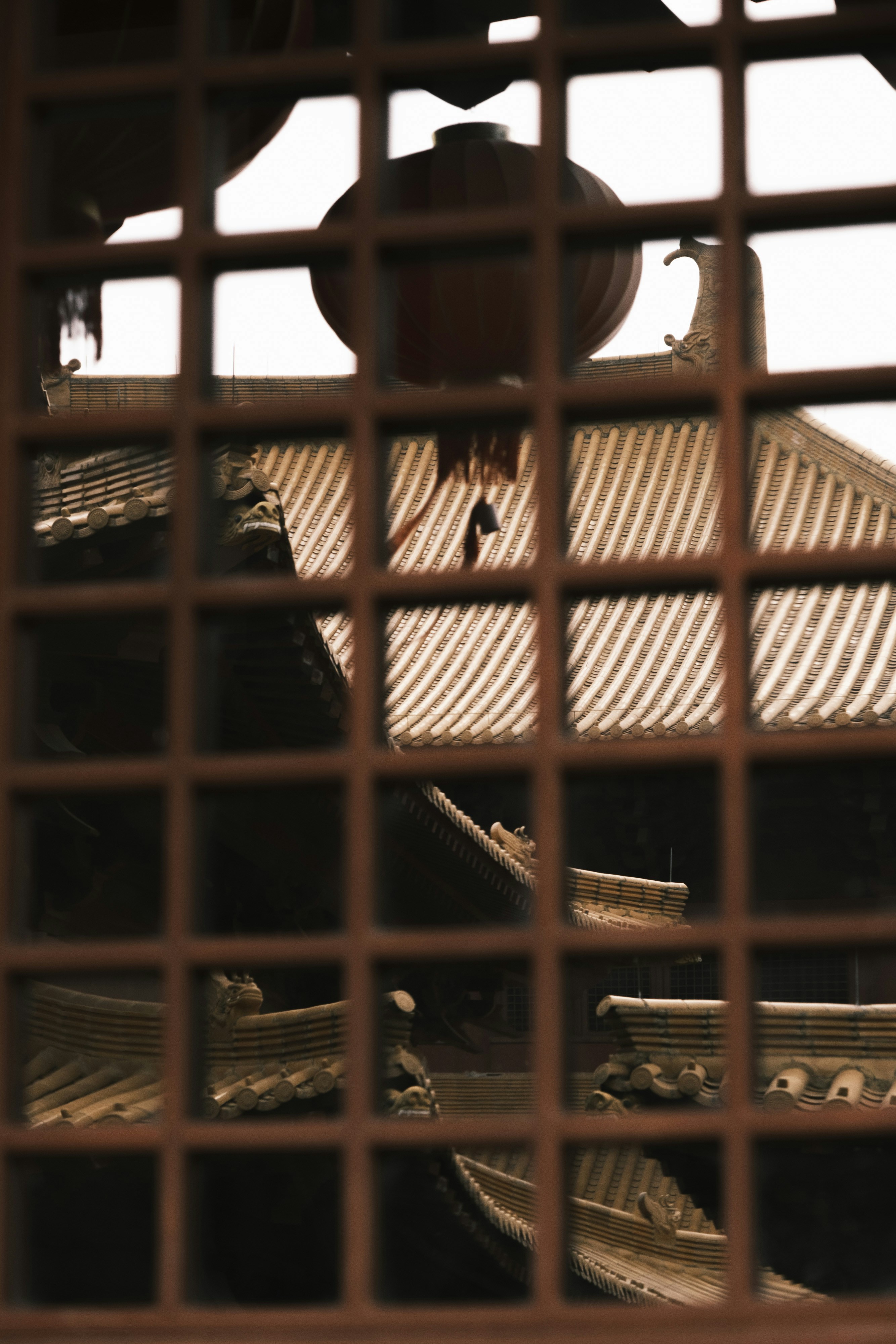 Through the Gridded Veil: A Quiet Look at a Traditional Roof