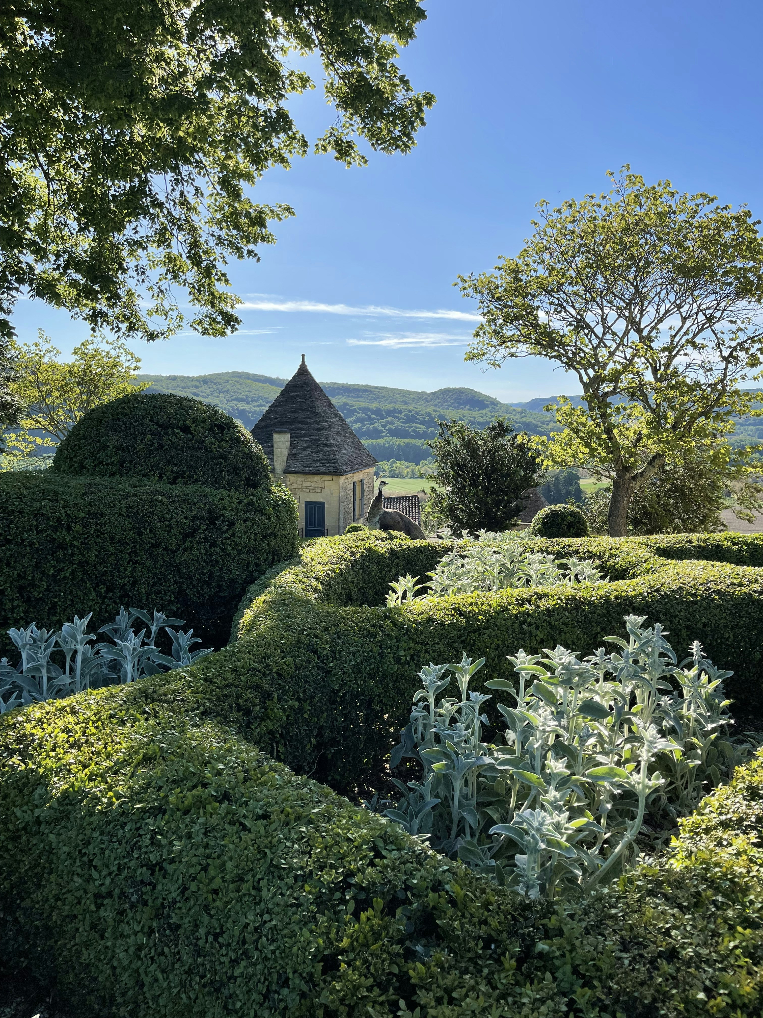 Constrained Garden Paths Leading to a Cone-Topped Structure