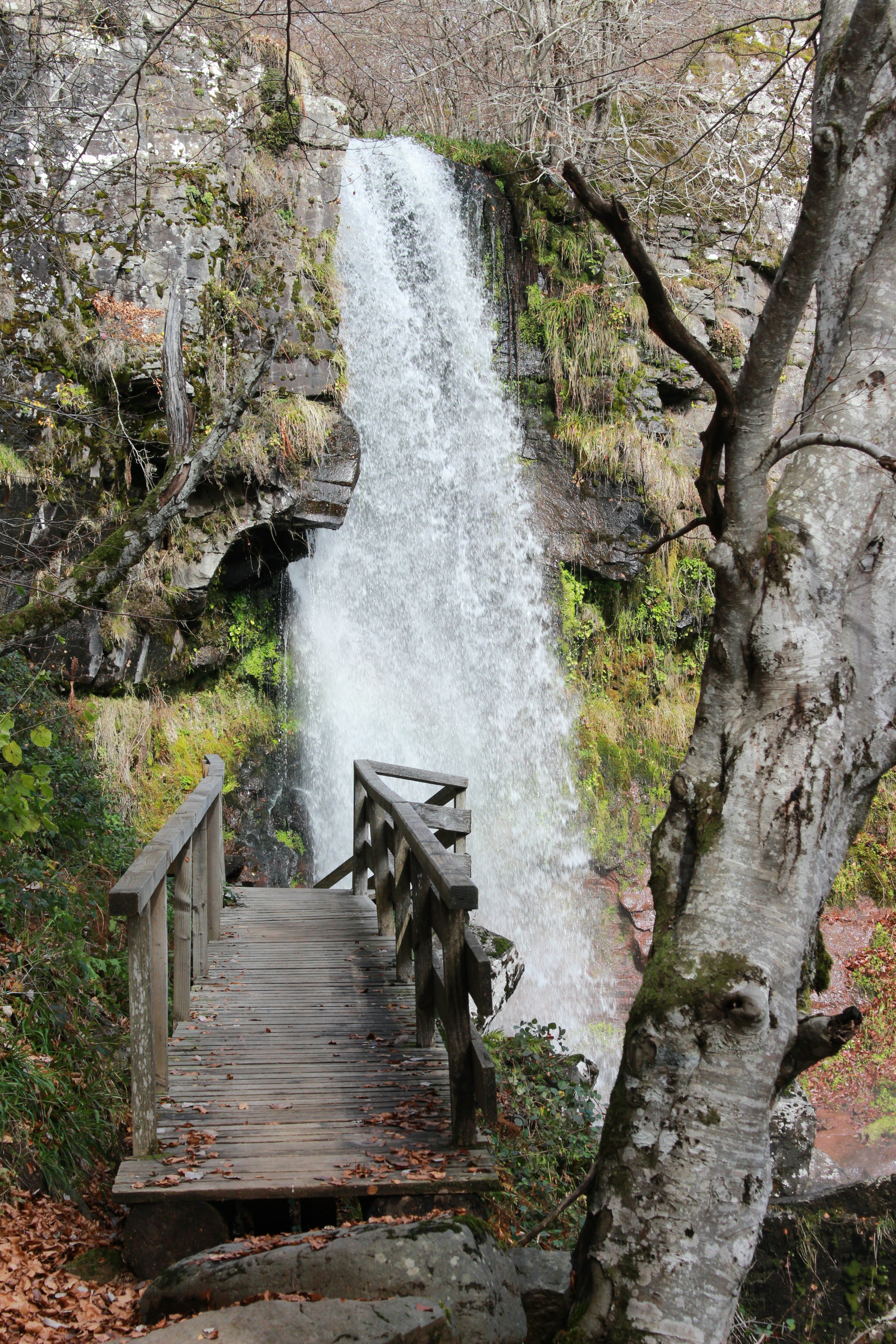 Bridge to the Falls: A Wooden Path Framing a Cascade