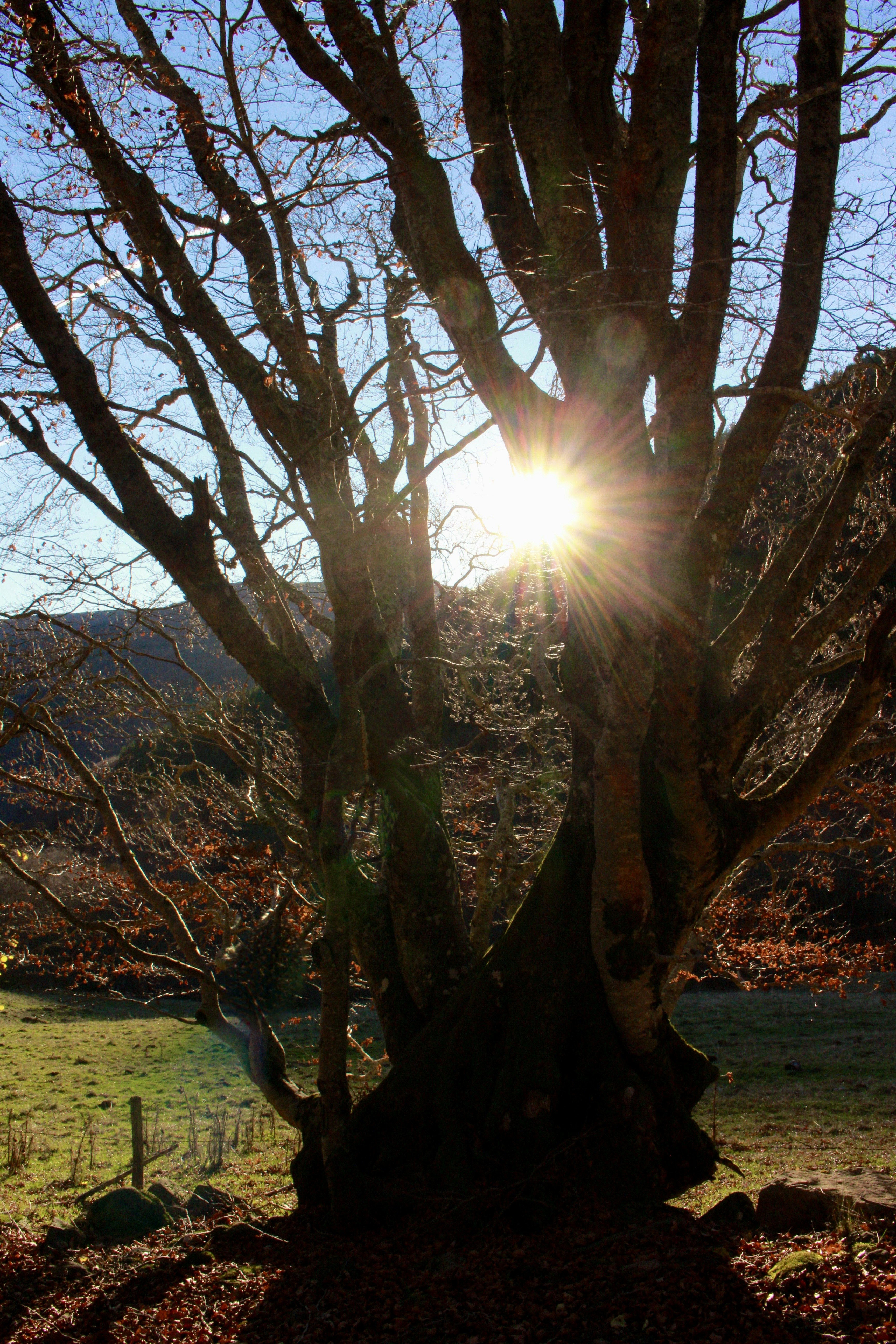 Photo by Clémence Sujobert with Canon EOS 700D