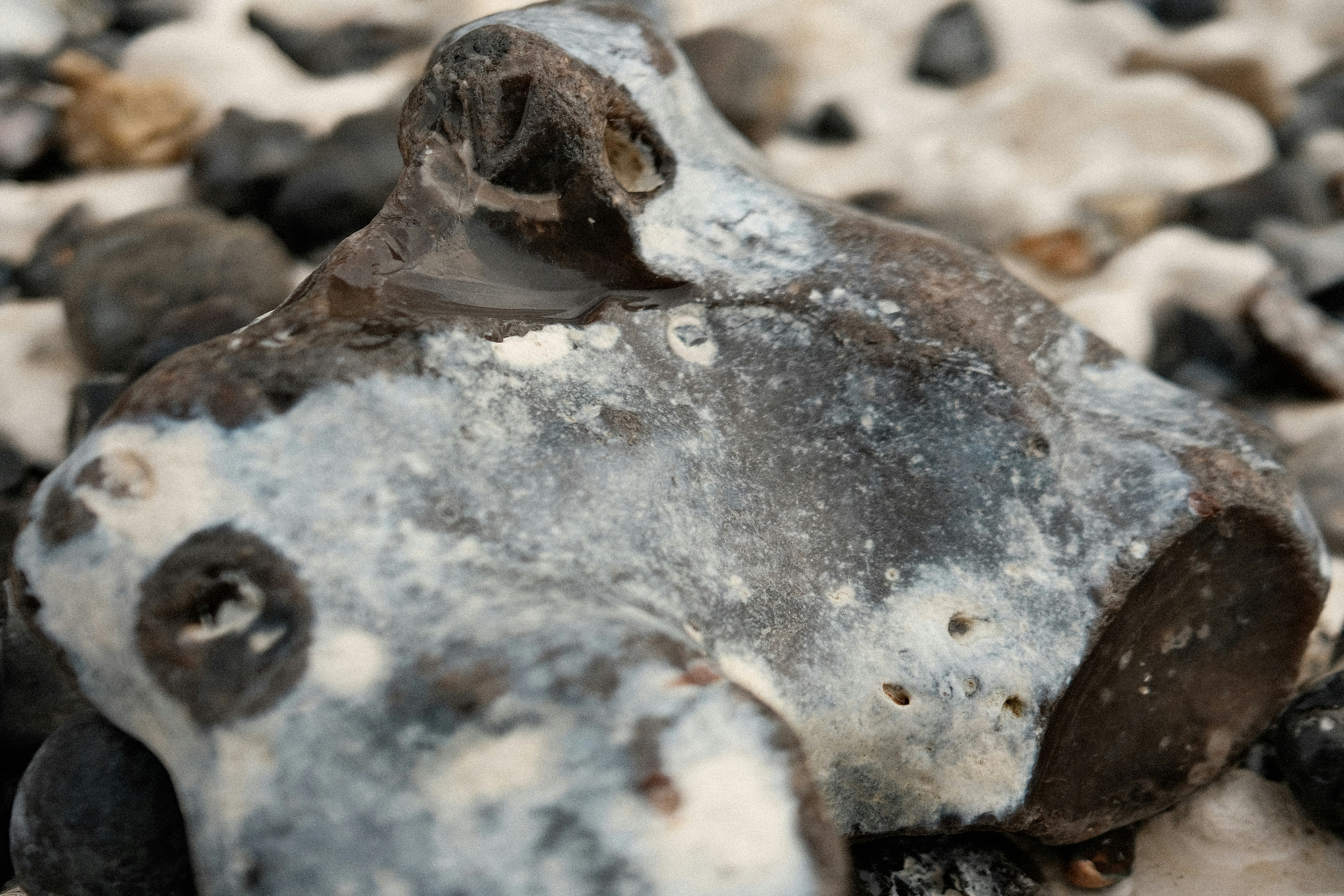 Weathered fragment: a close-up of salt-streaked stone and pebbles