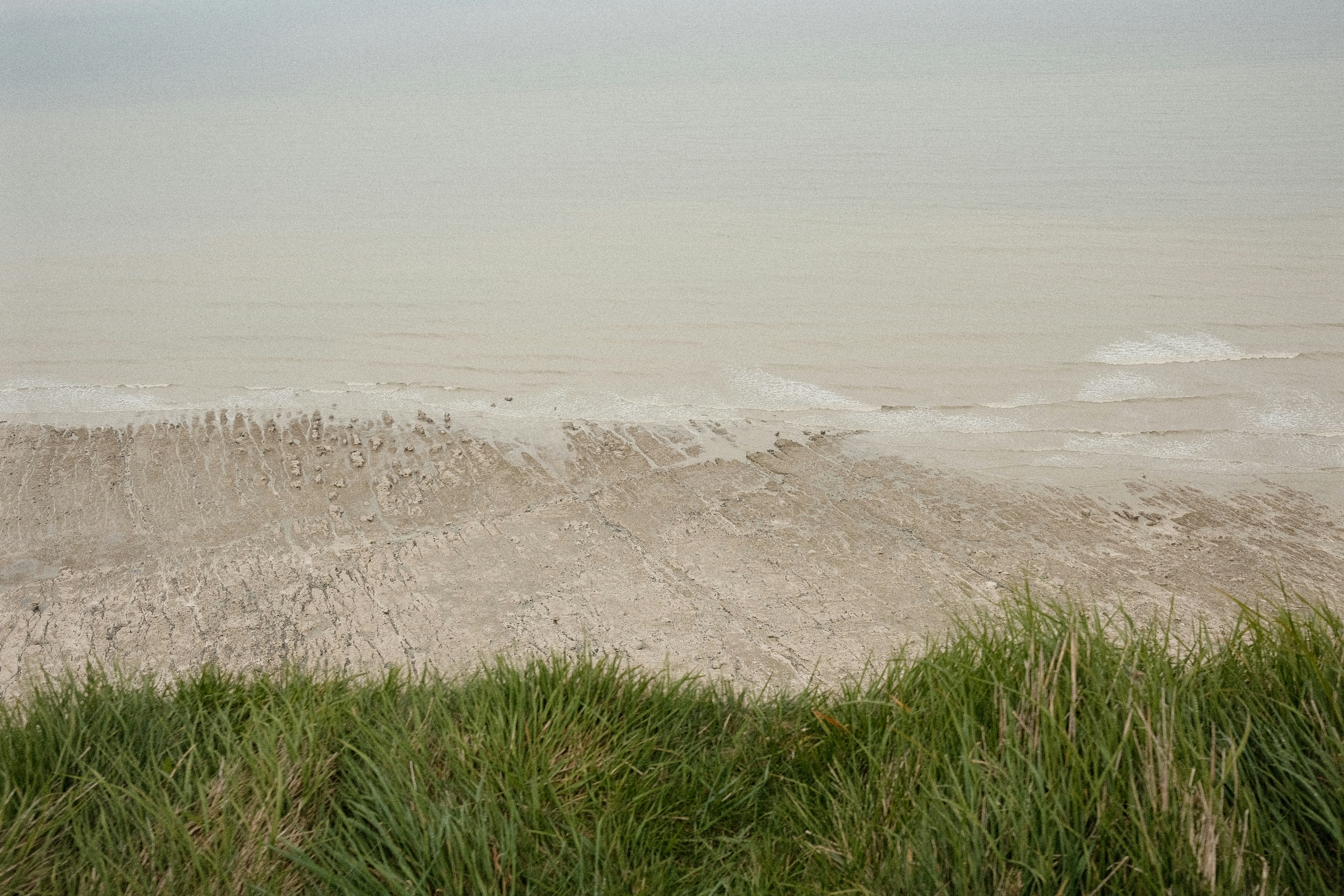 Dunes of Calm: Grass, Sand, and Gentle Sea