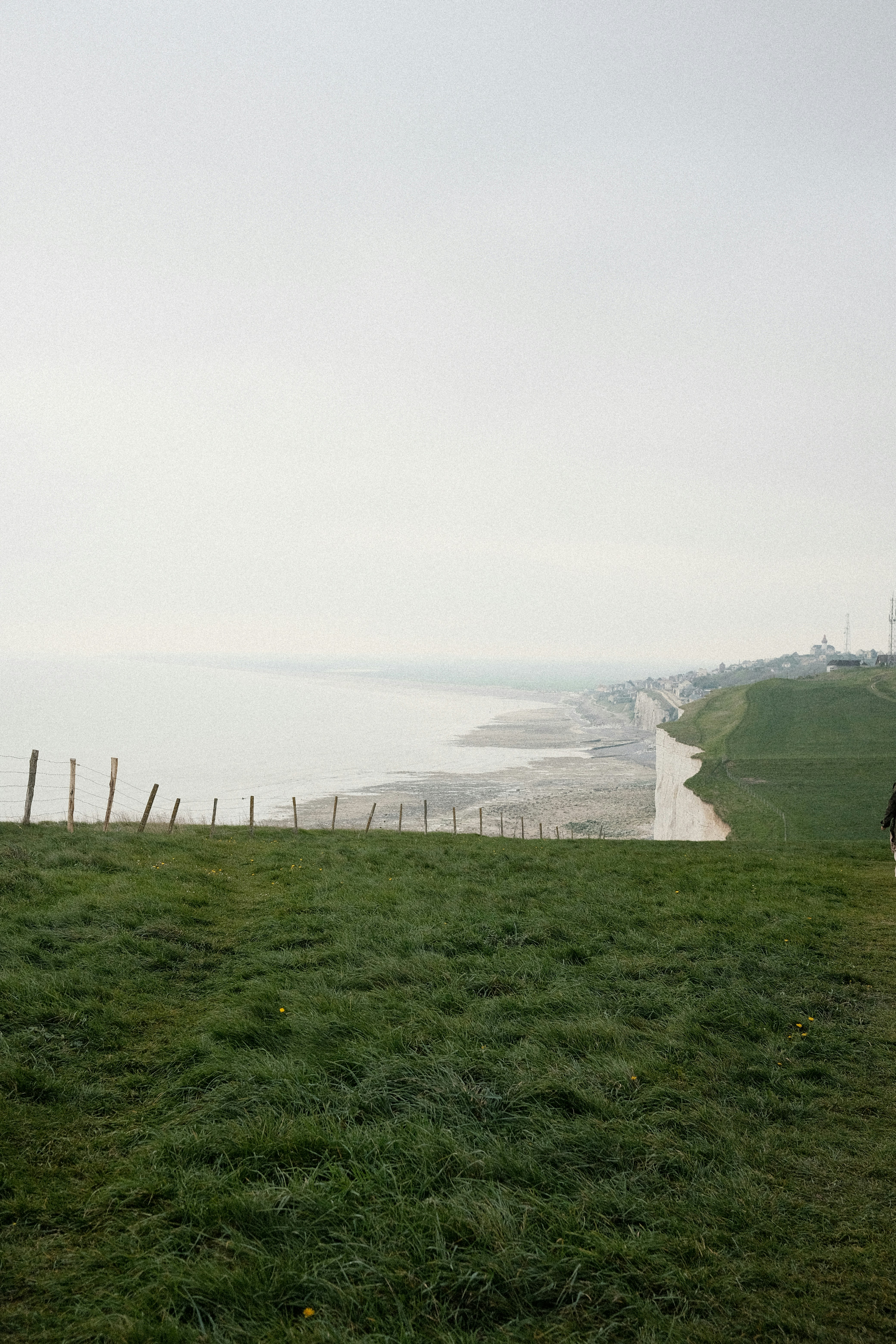 Clifftop Coastline: Green Field to Distant Sea in Soft Light