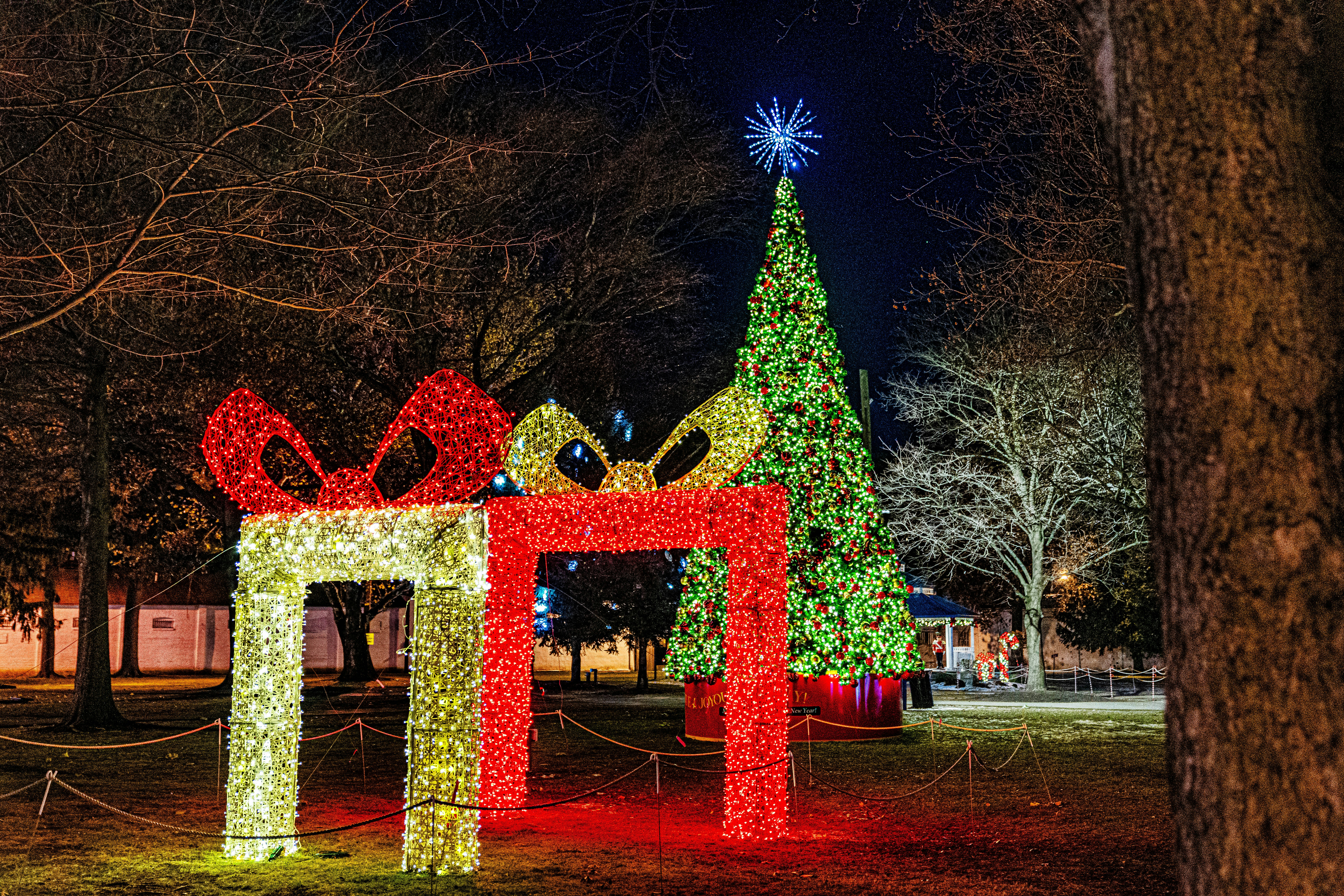 Bright Gift Gate: A Cheerful Night in Lights