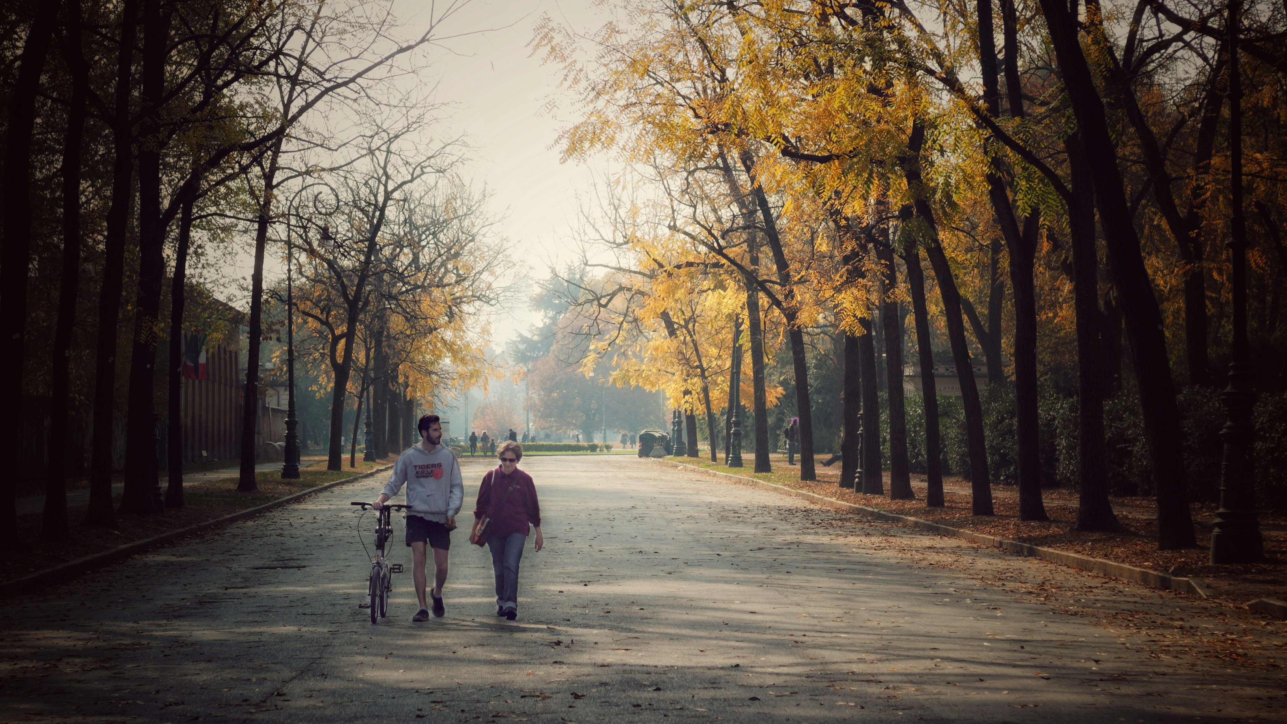 Couple walking dog on autumn park path. photo – Free Autumn Image on ...