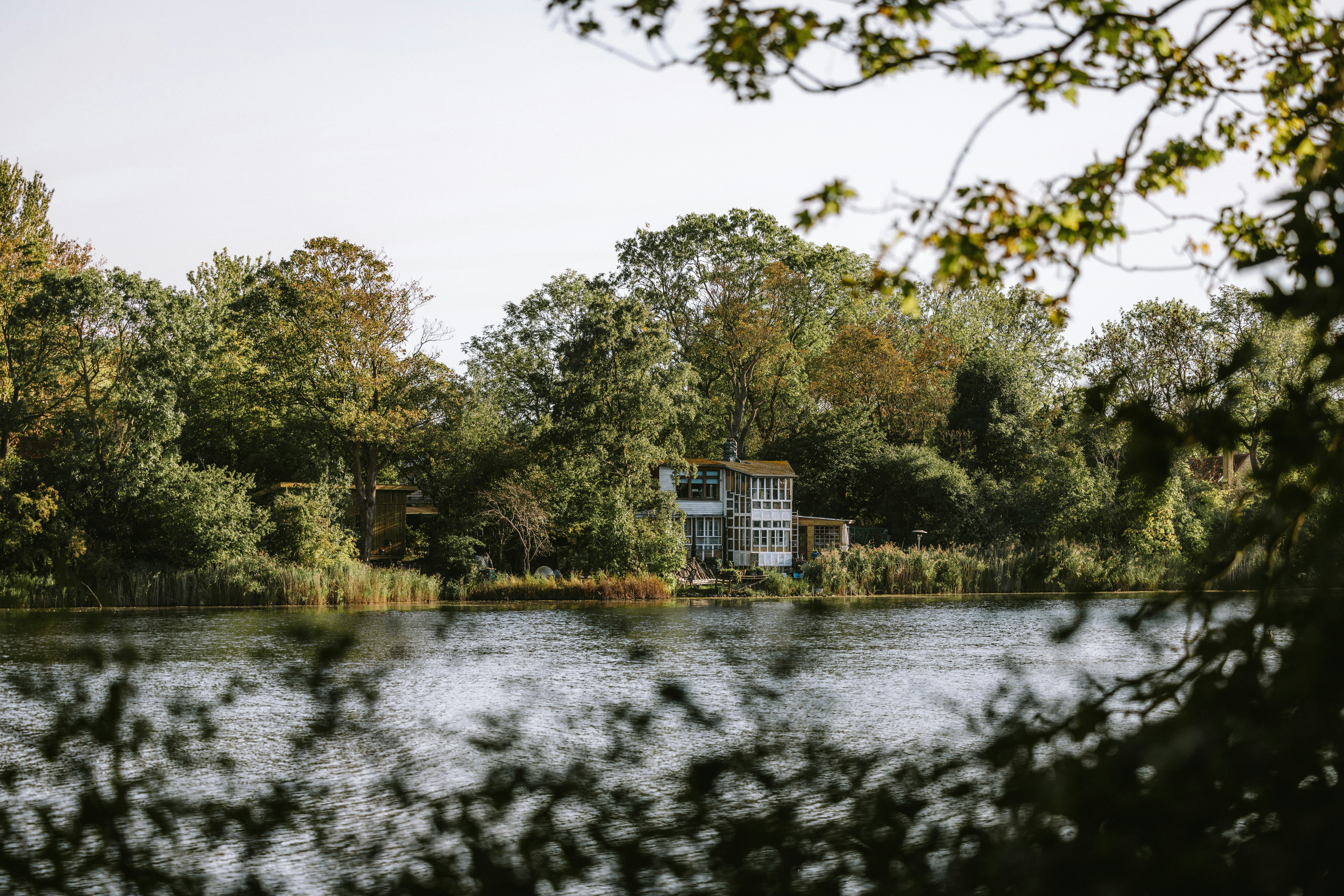 Photo by Henrique Ferreira with Canon EOS R5