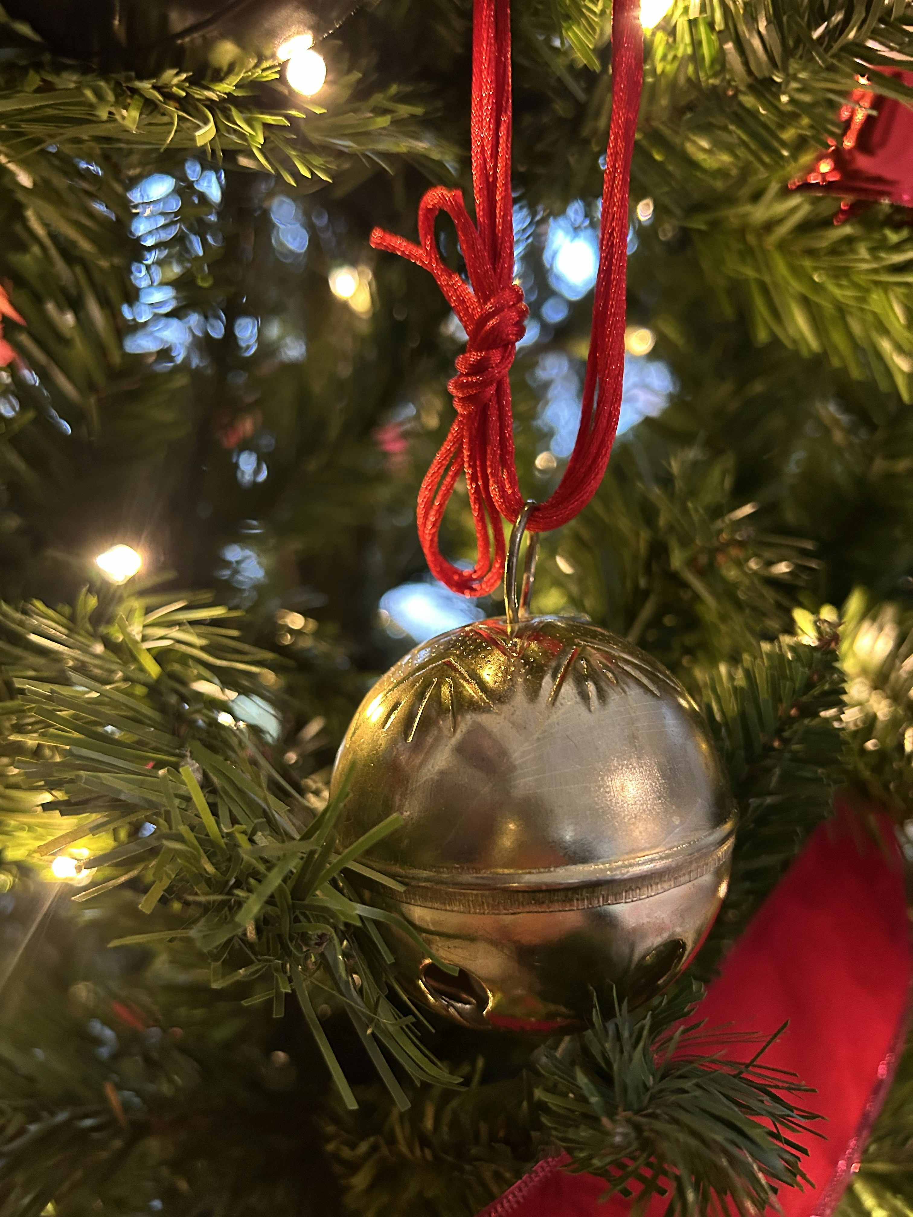 Photo by Tyler Mower with Apple iPhone 14