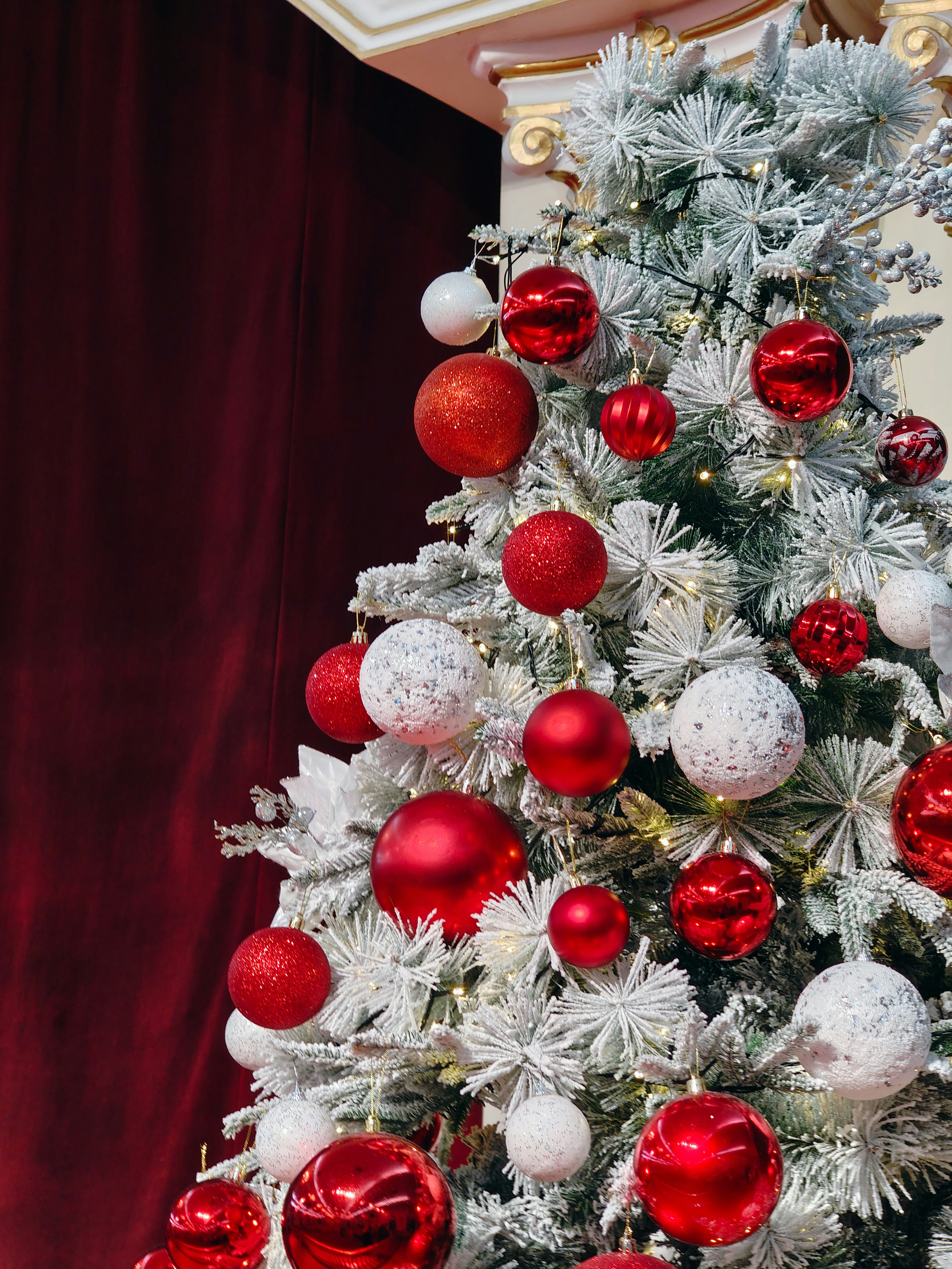 Crimson Ornaments Beckon Among Frosted Pines