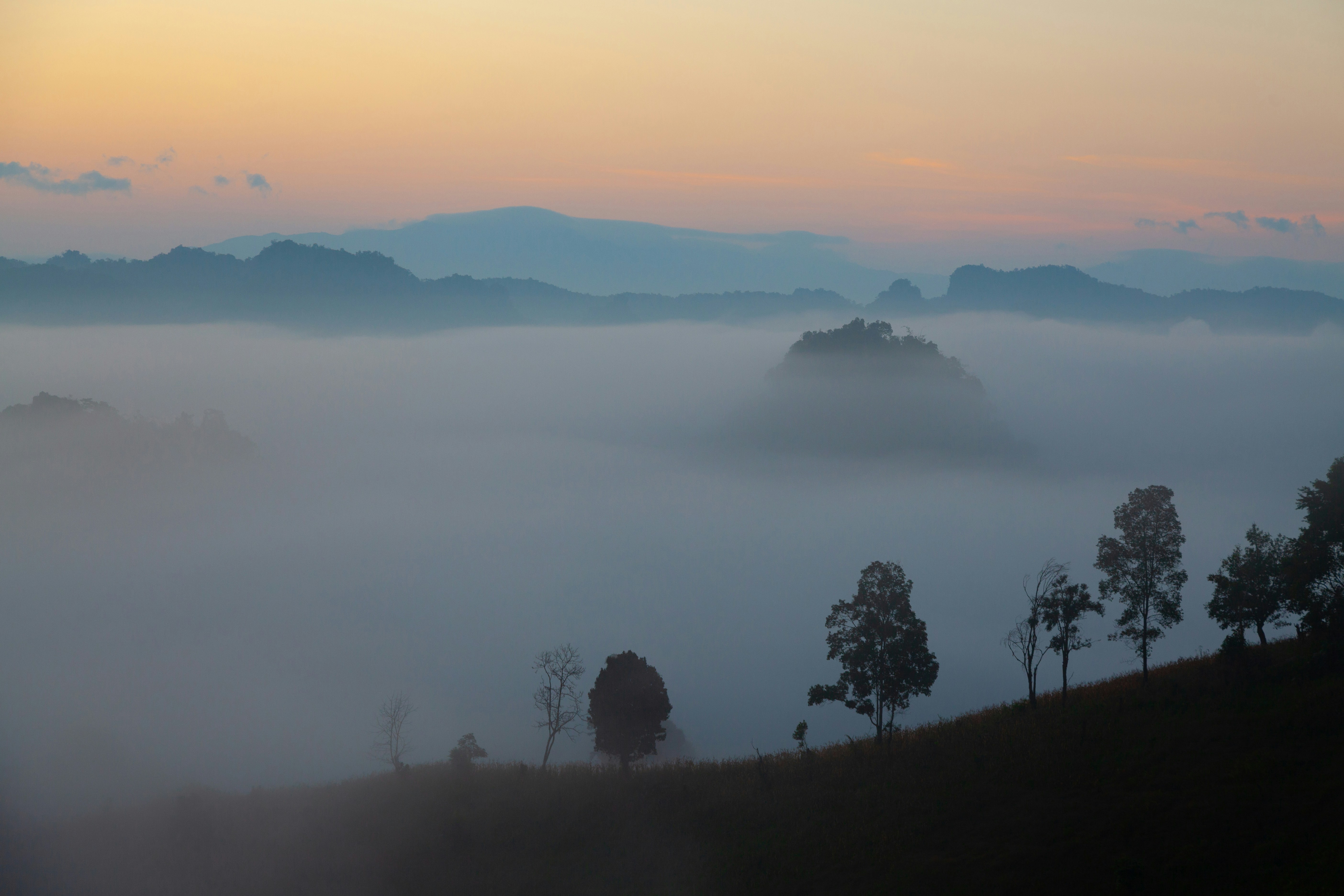 Photo by Rowan Heuvel with Canon EOS 5D Mark II