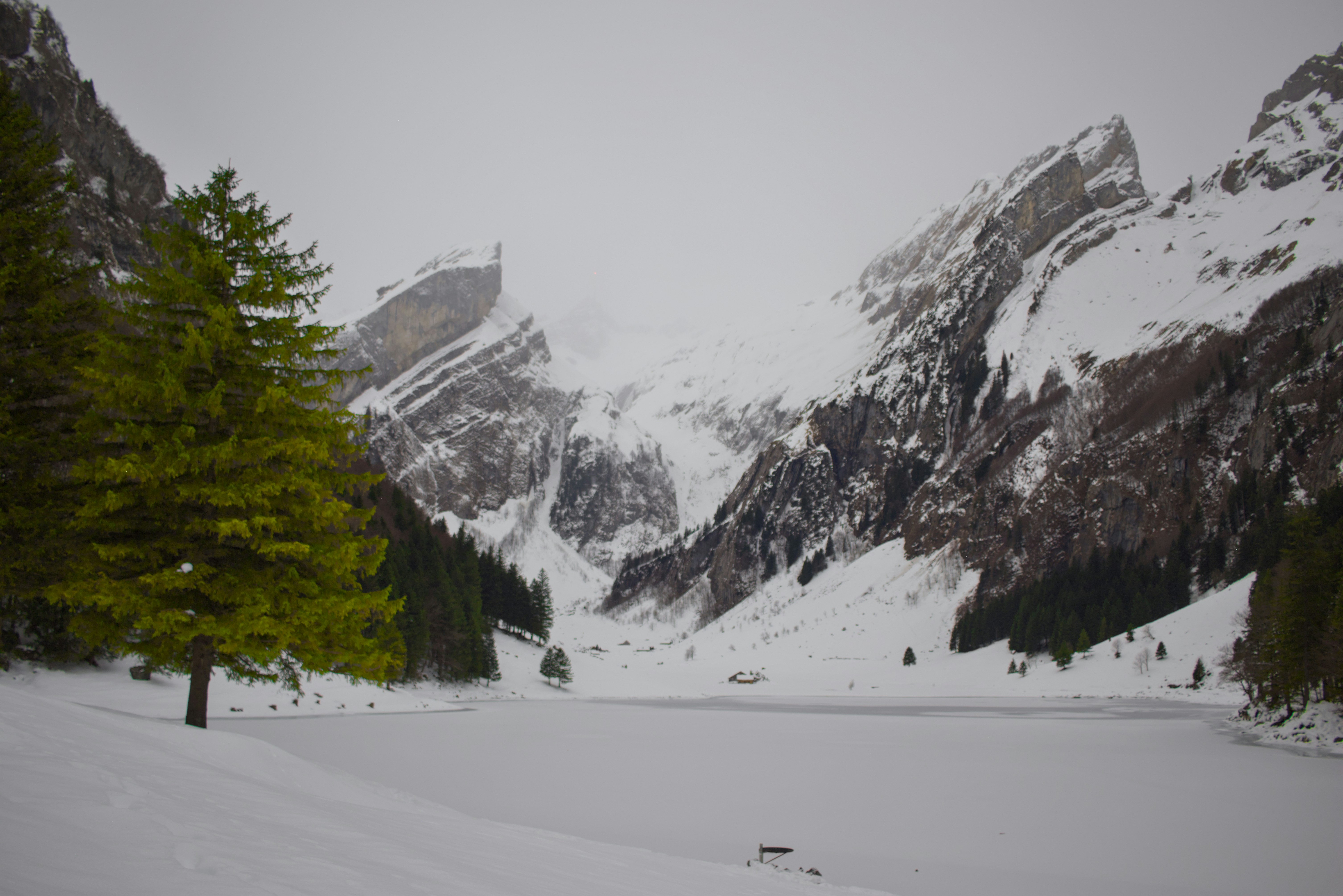 Photo by David Zieglgänsberger with Canon EOS 250D