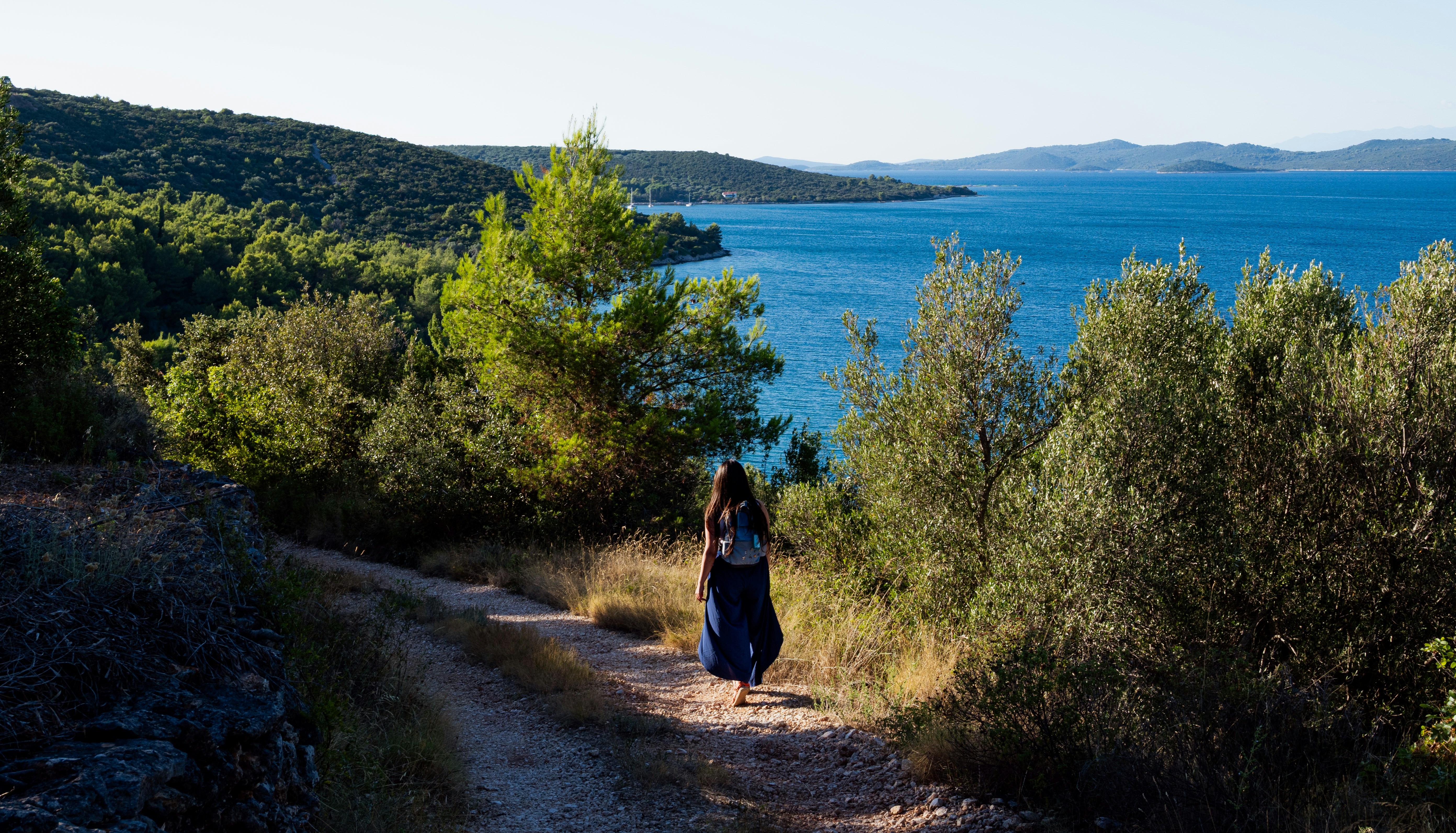 Path to the Quiet Horizon
