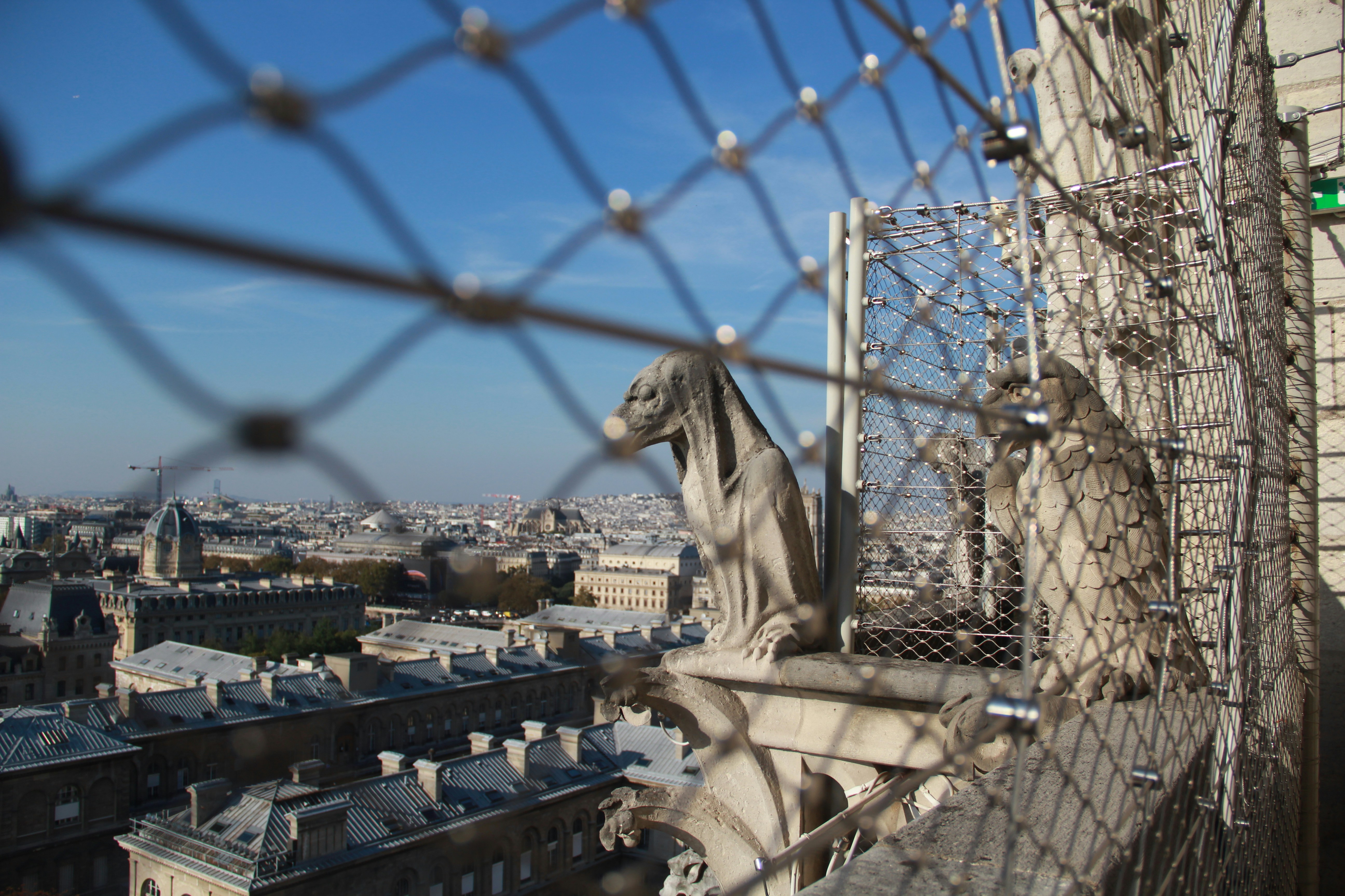 Gargoyle Sentinel Over a Cityscape