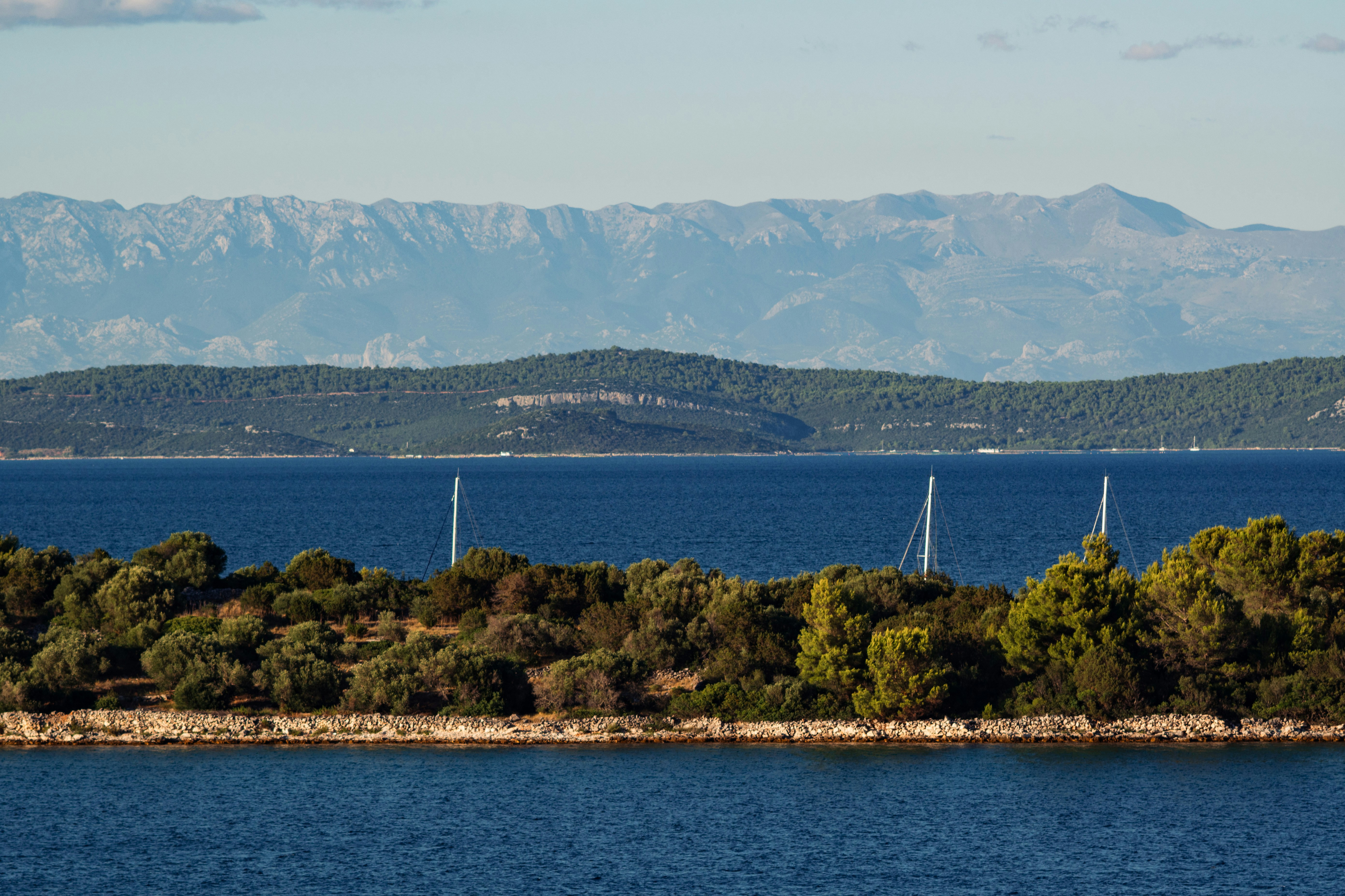 Sample photo from Nikon Z30