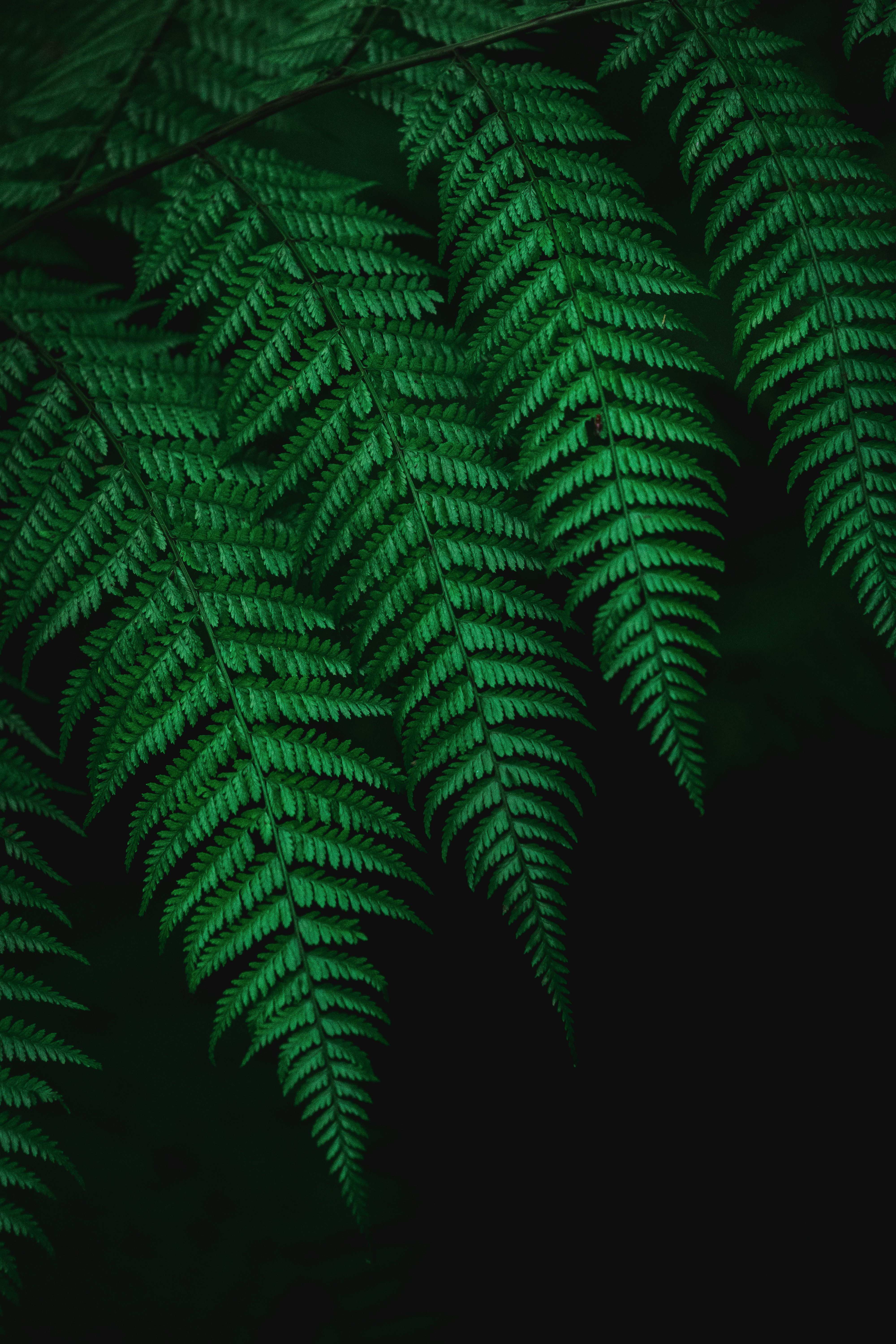 Photo by David Becker with Sony Alpha 7 III