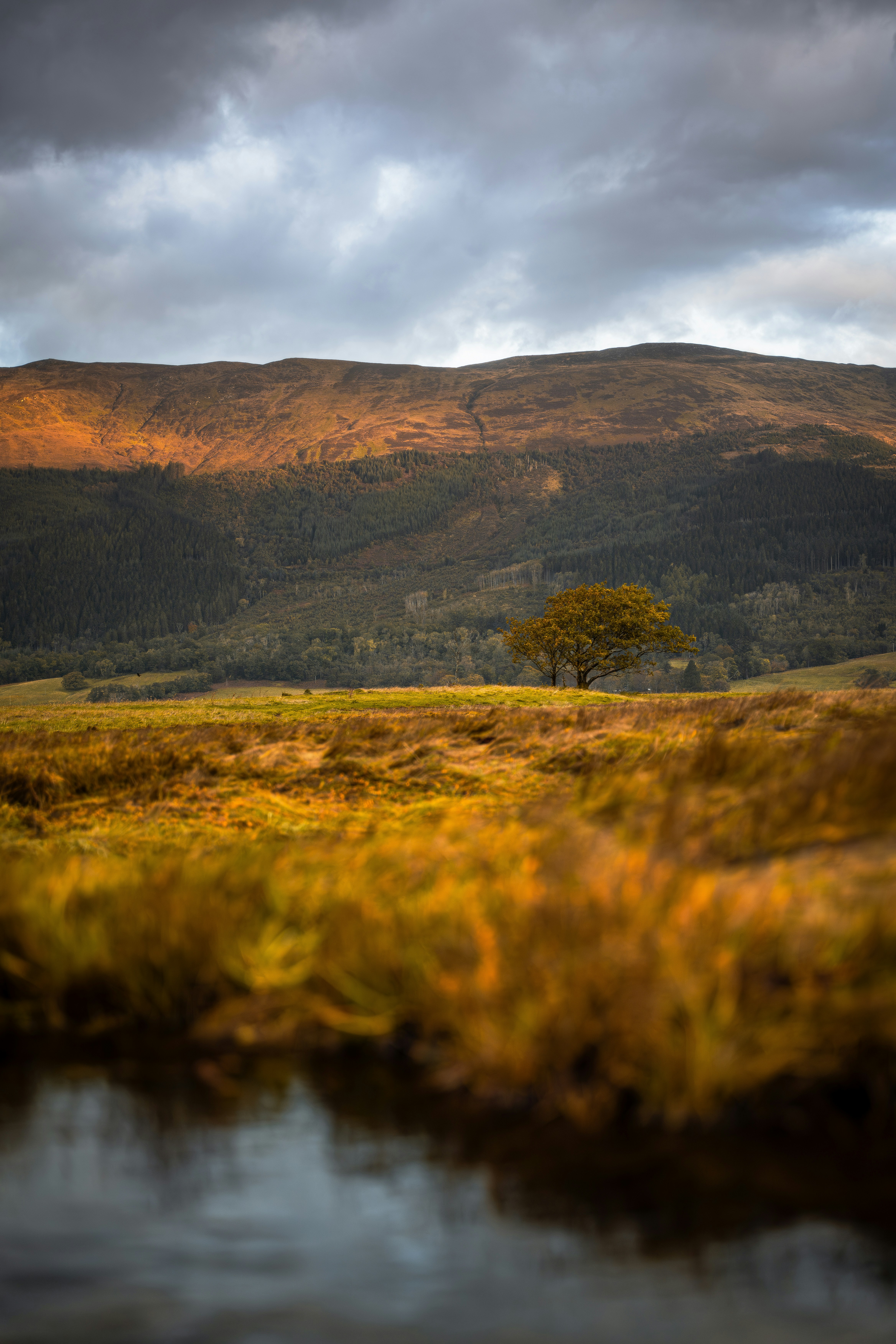 Photo by David Becker with Sony Alpha 7 IV