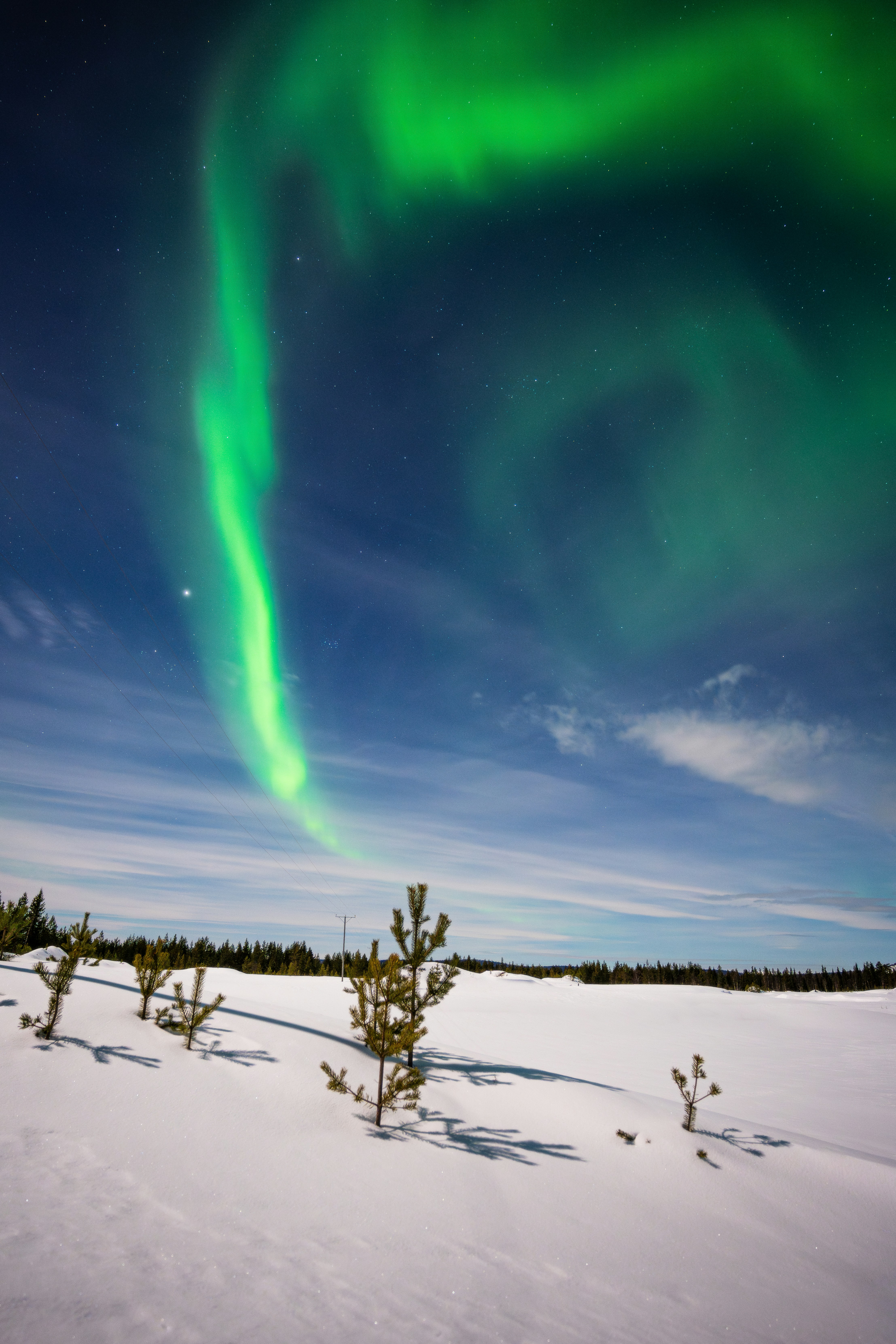 Aurora Arc over a Quiet Snowfield