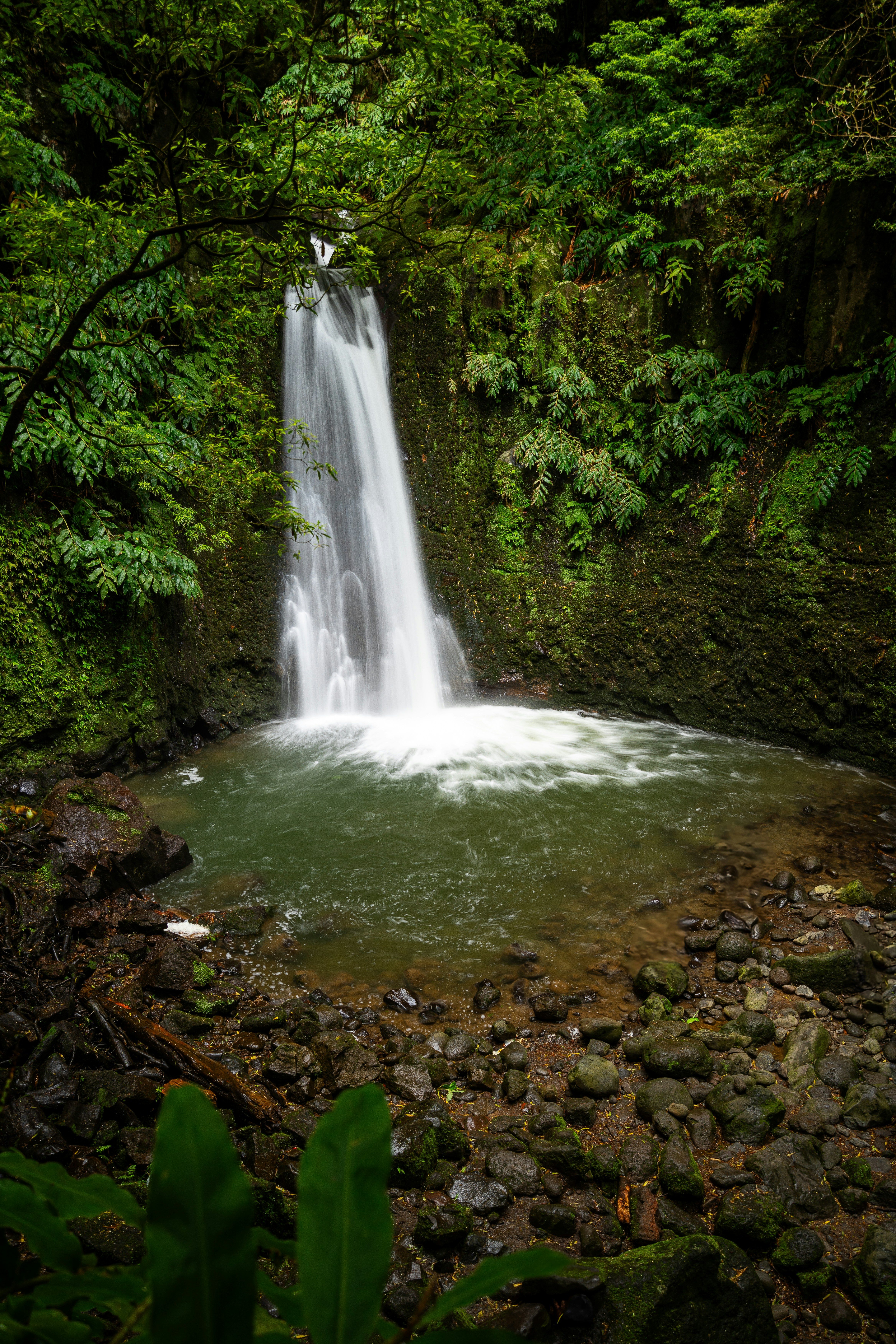 Photo by David Becker with Sony Alpha 7 IV