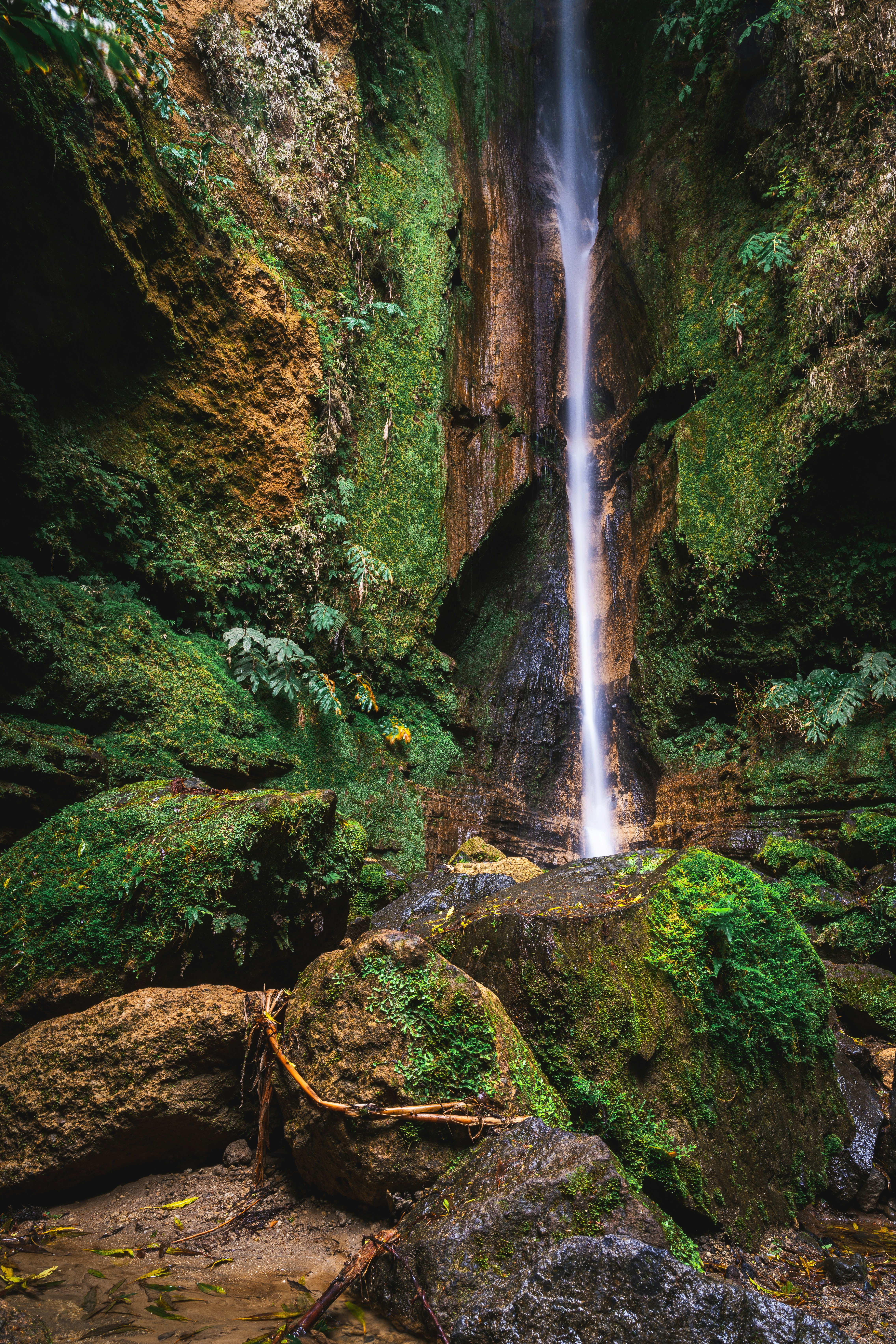 Photo by David Becker with Sony Alpha 7 IV