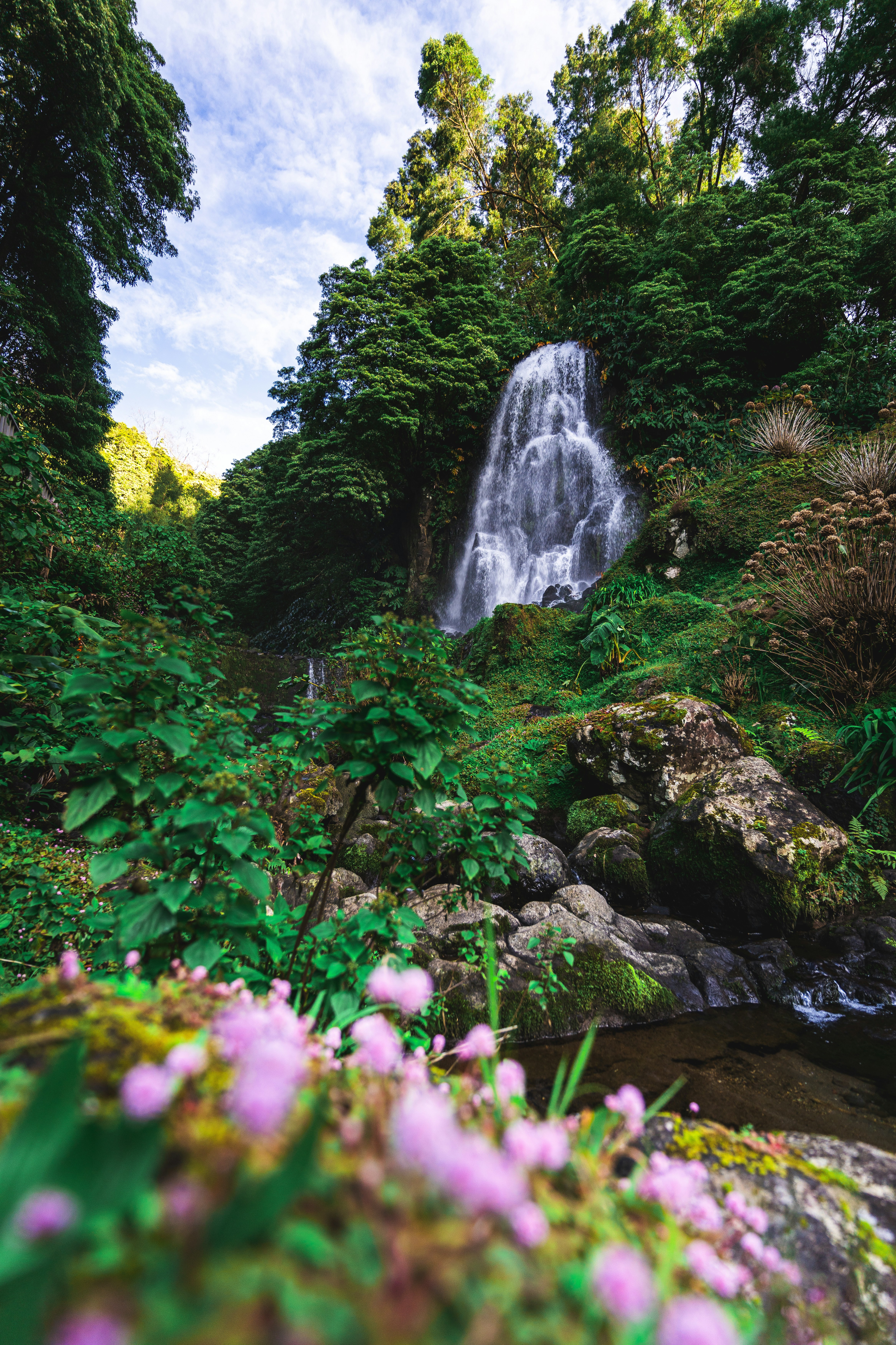 Verdant Cascade: A Quiet Garden Gap to a Waterfall